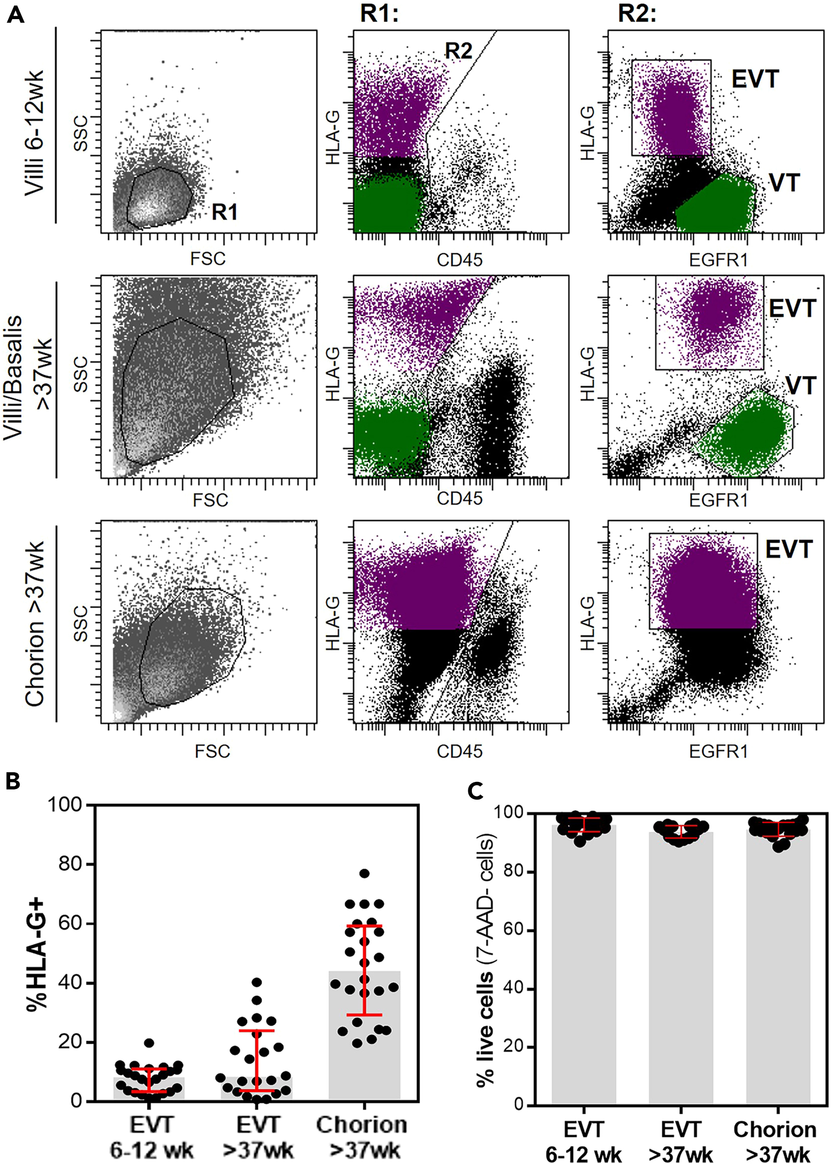 Cell Press: STAR Protocols