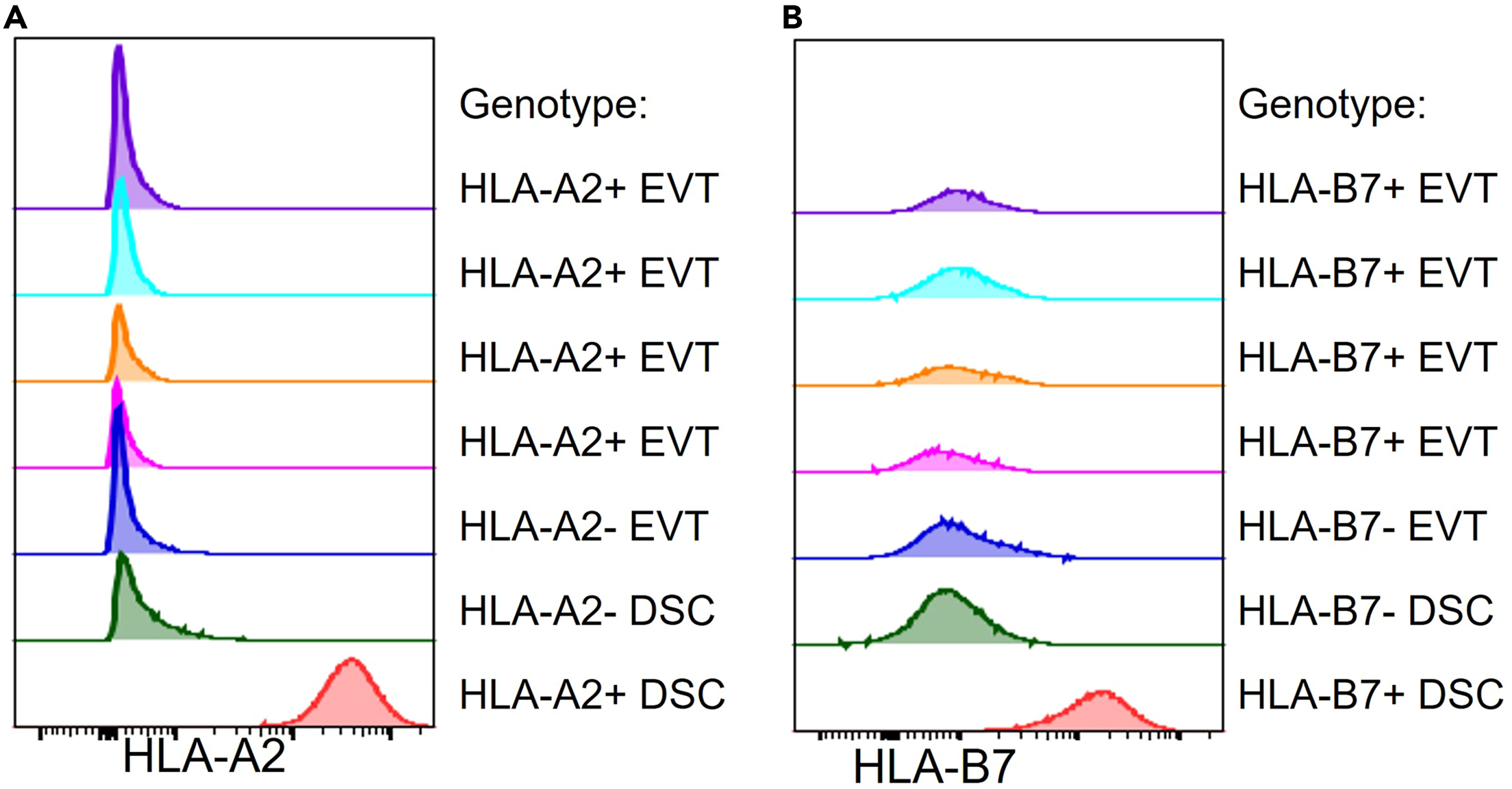 Cell Press: STAR Protocols