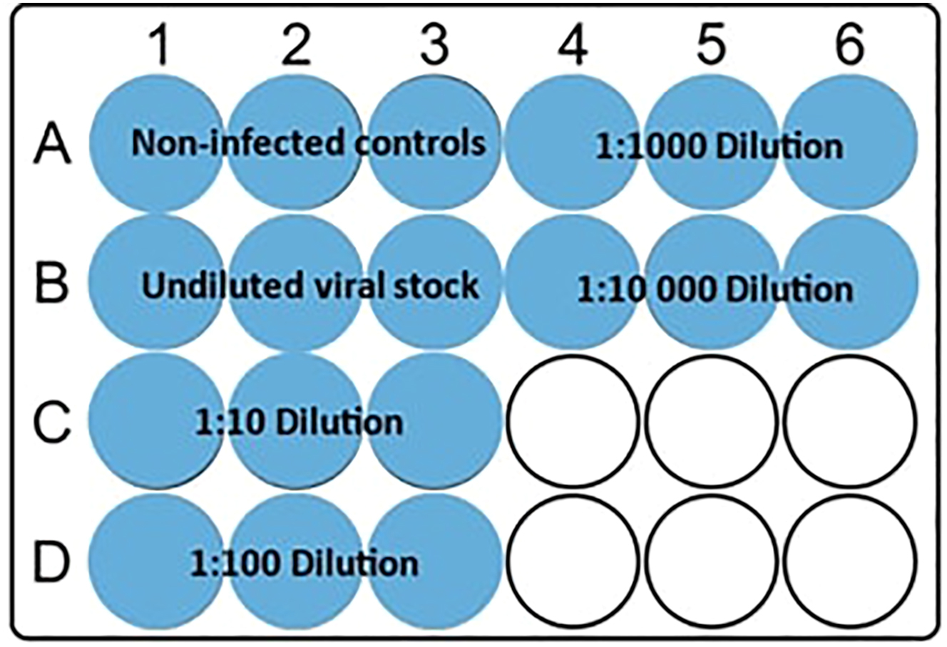 Cell Press: STAR Protocols