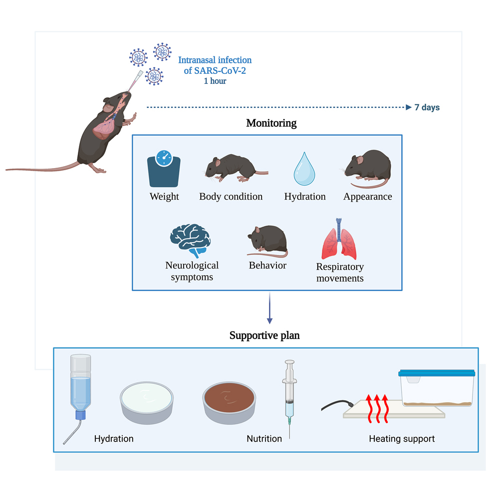 Cell Press: STAR Protocols