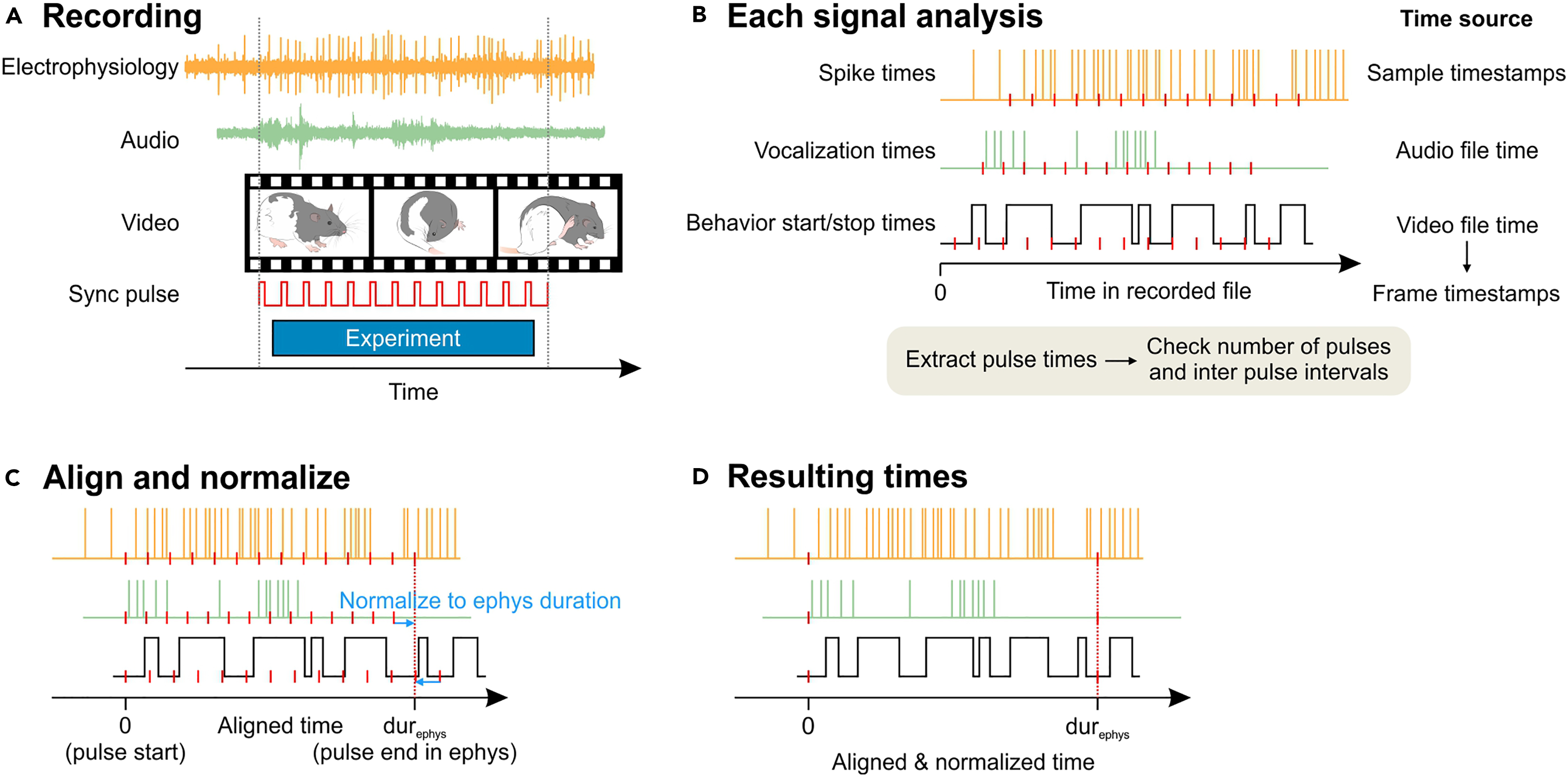 Cell Press: STAR Protocols