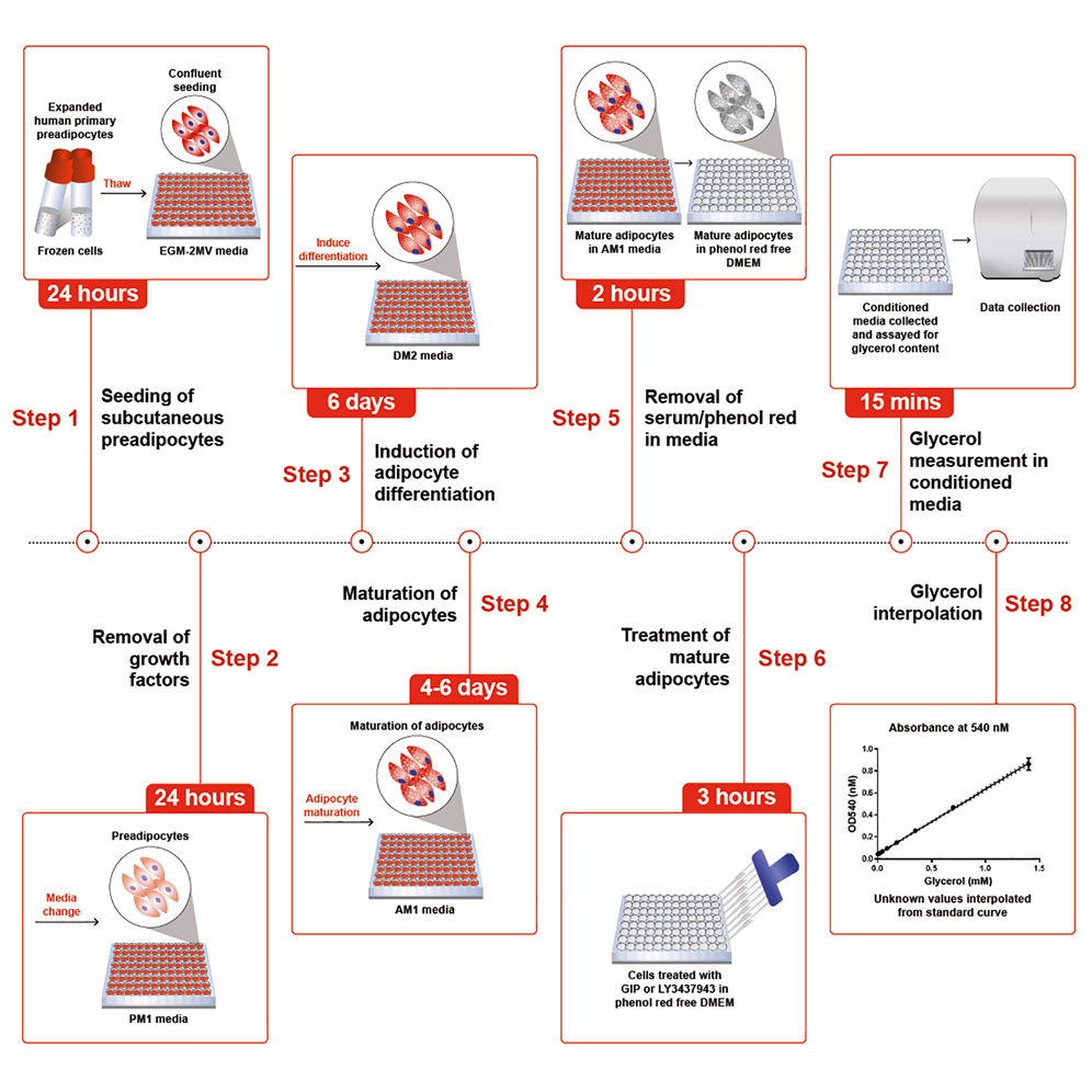 Cell Press: STAR Protocols