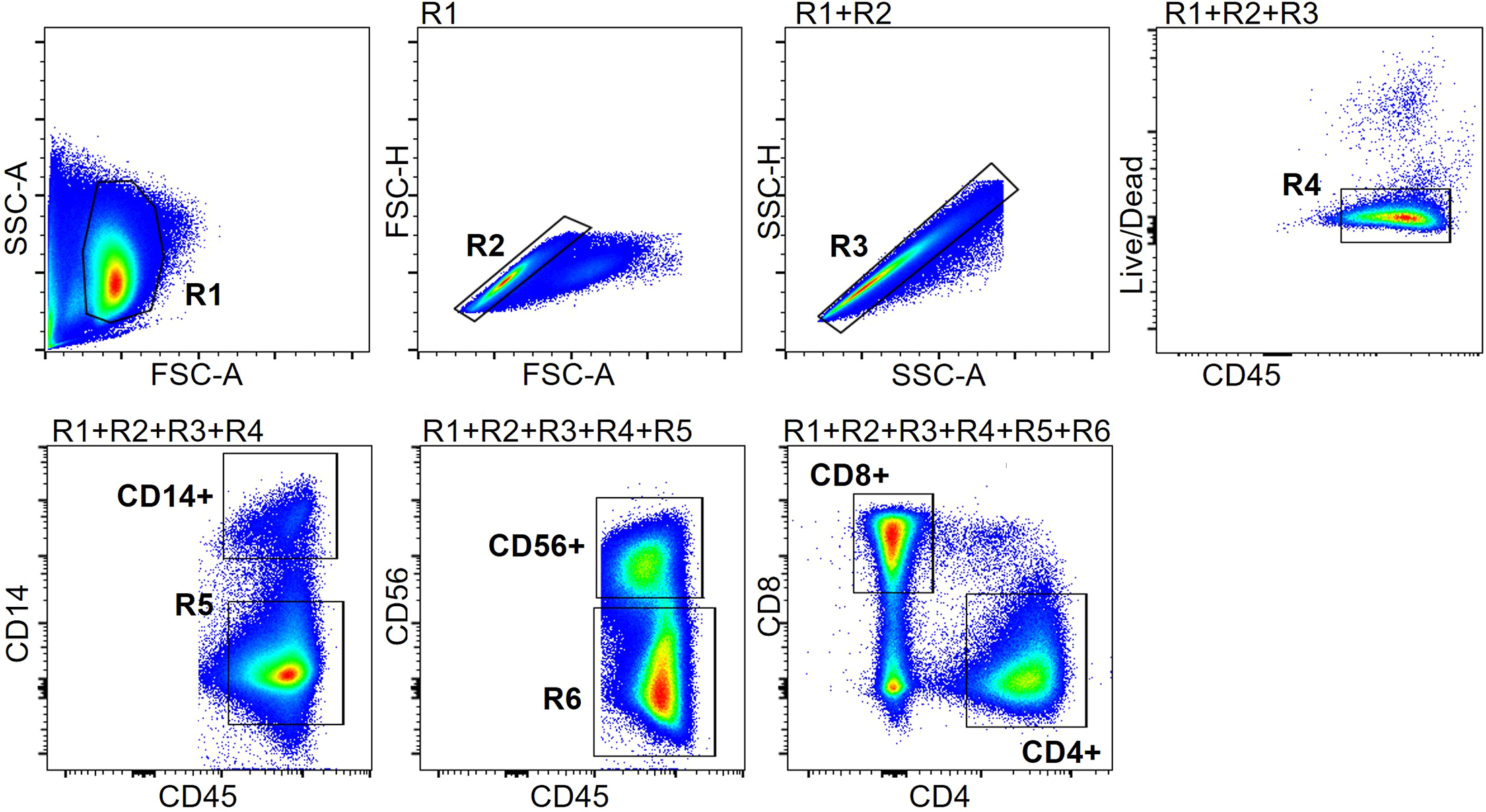 Cell Press: STAR Protocols