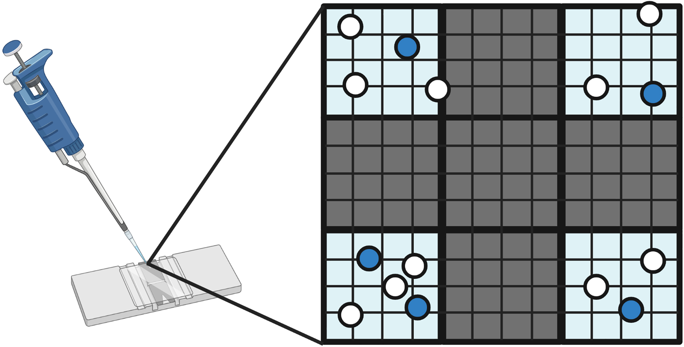 Cell Press: STAR Protocols
