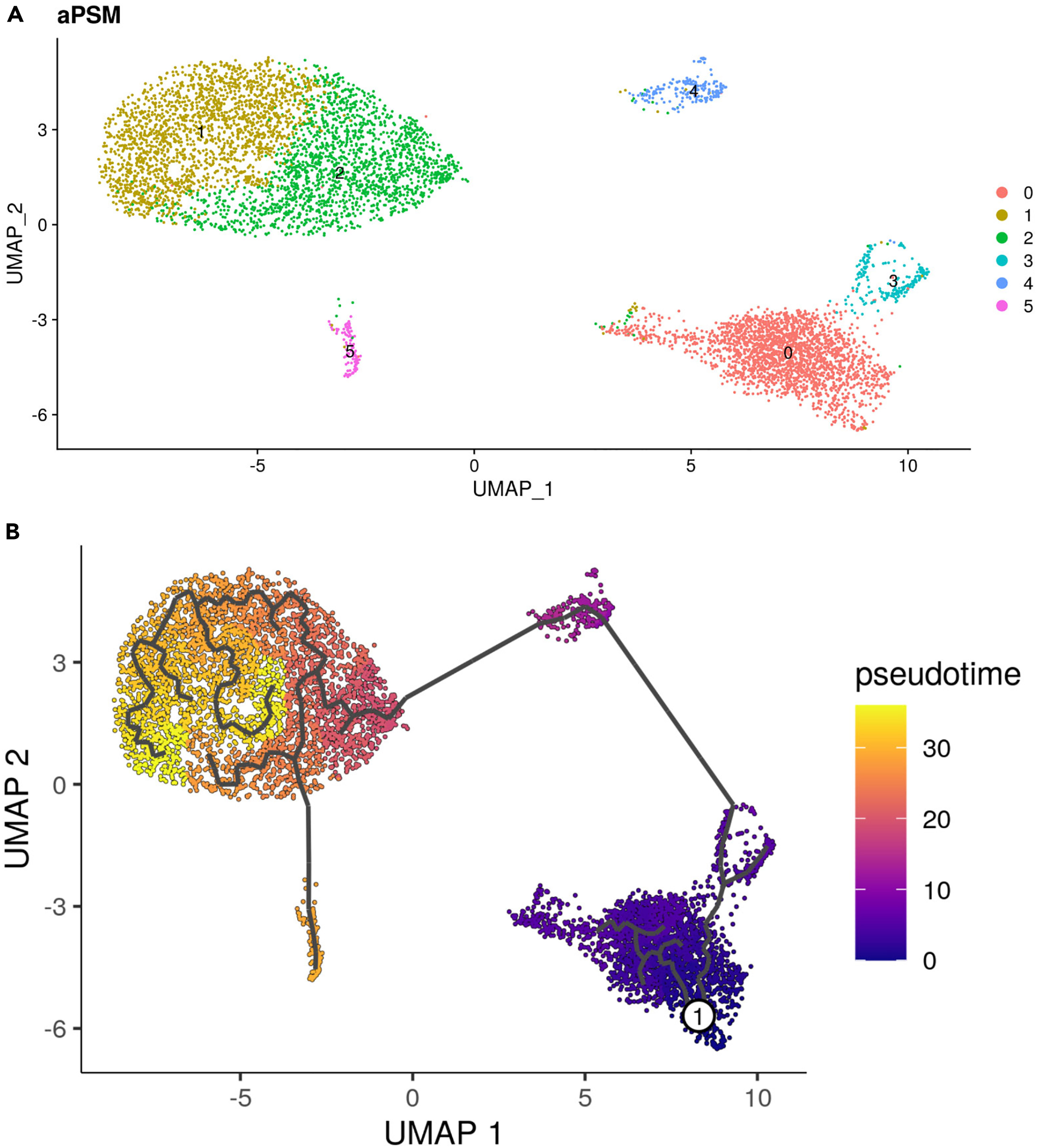 Cell Press: STAR Protocols