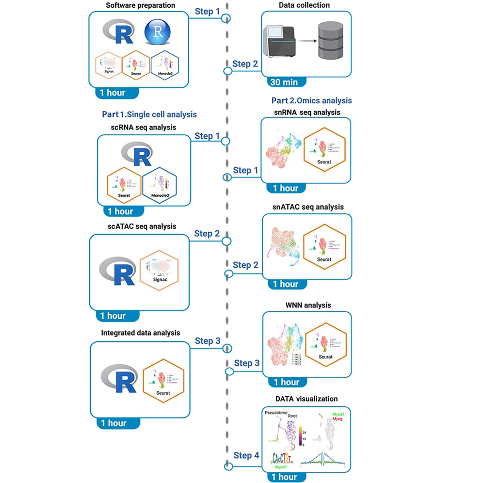 Cell Press: STAR Protocols
