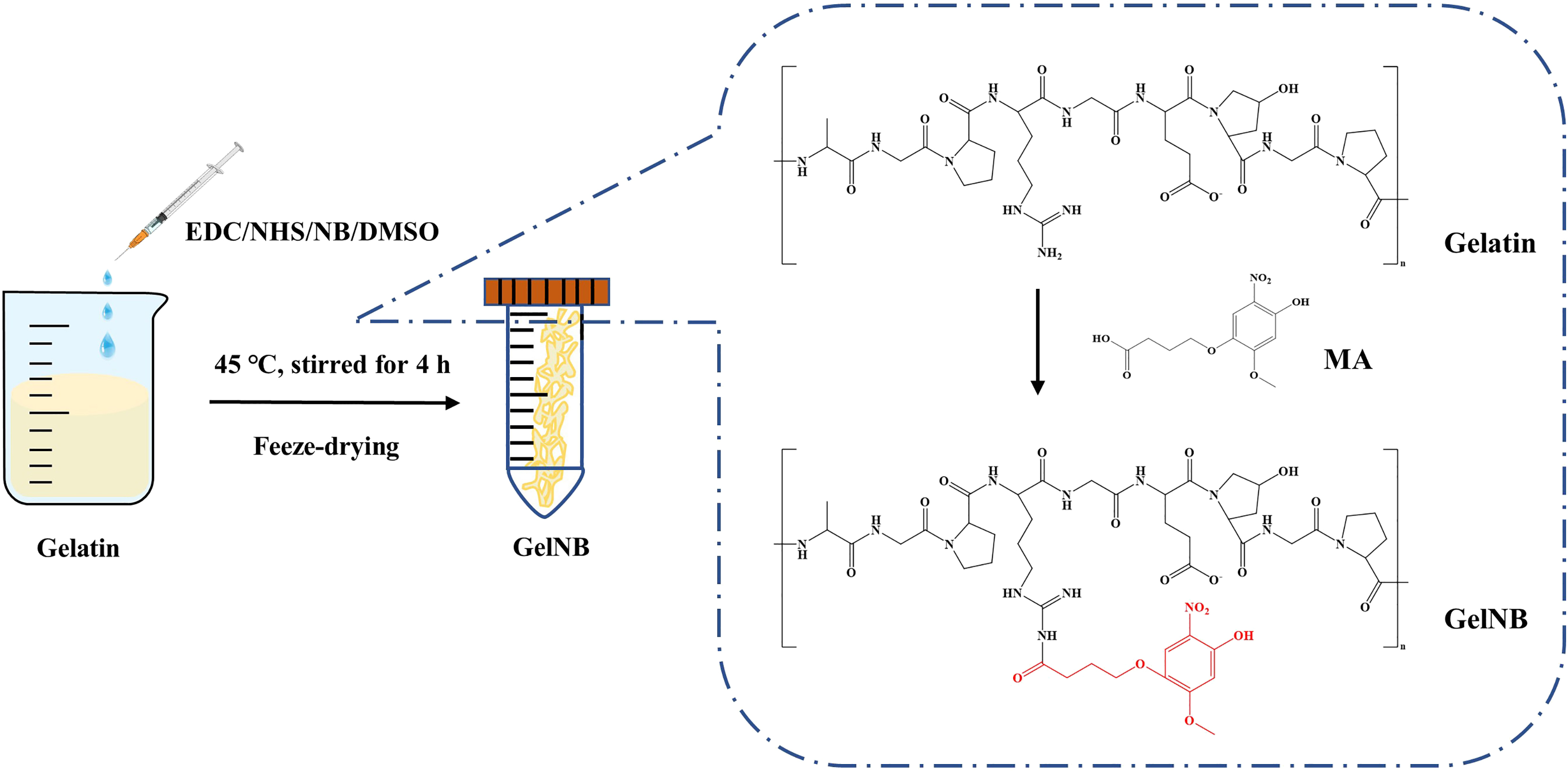 Cell Press: STAR Protocols