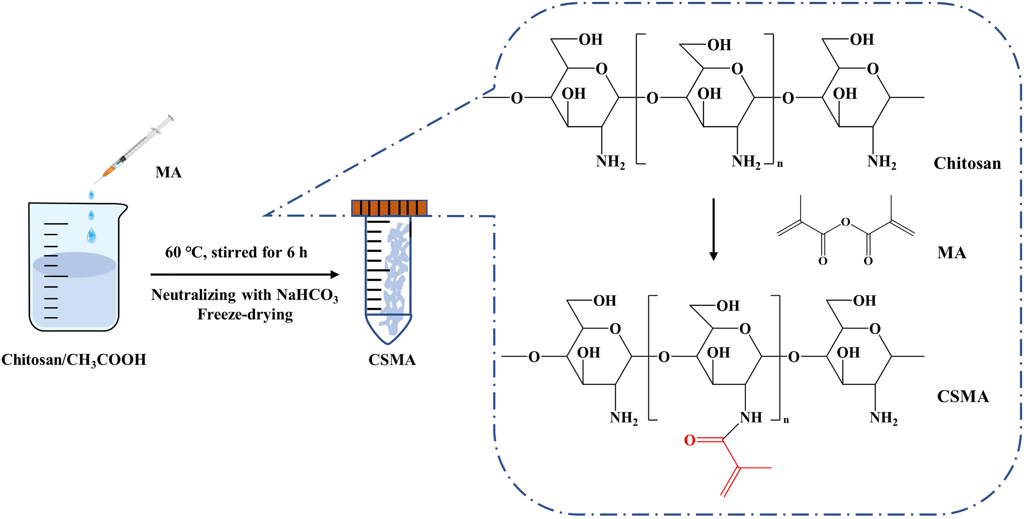 Cell Press: STAR Protocols