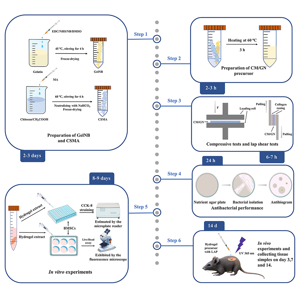 Cell Press: STAR Protocols