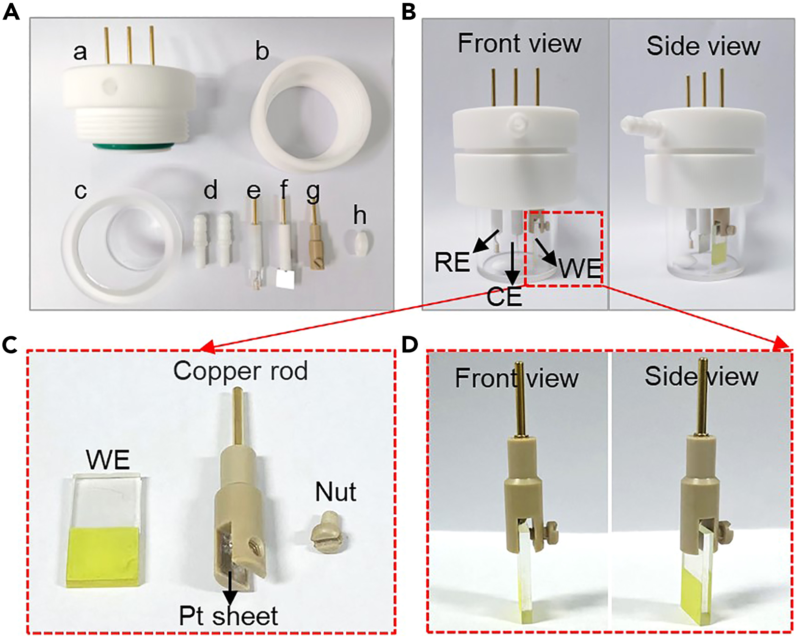 Cell Press: STAR Protocols