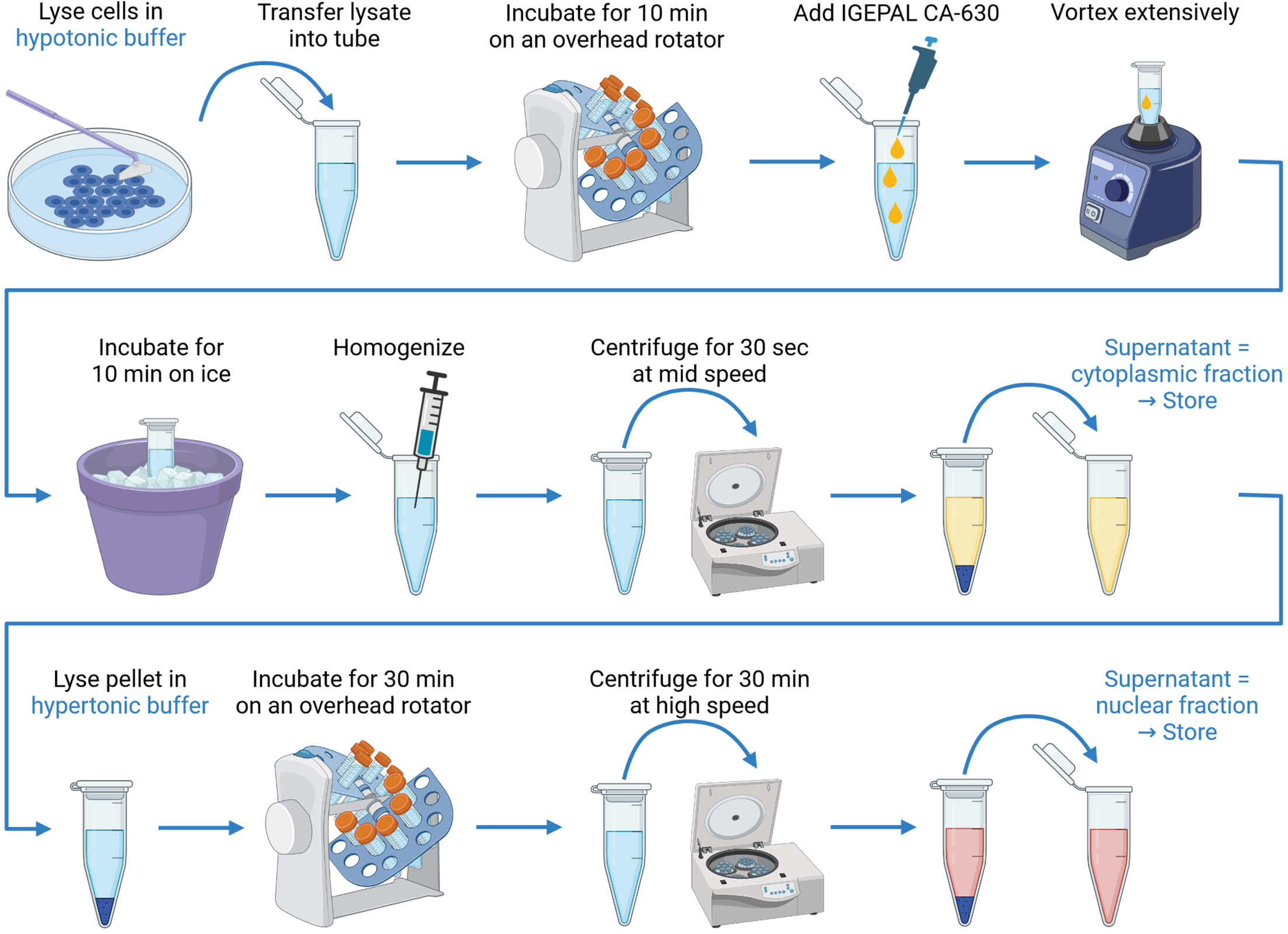 Cell Press: STAR Protocols