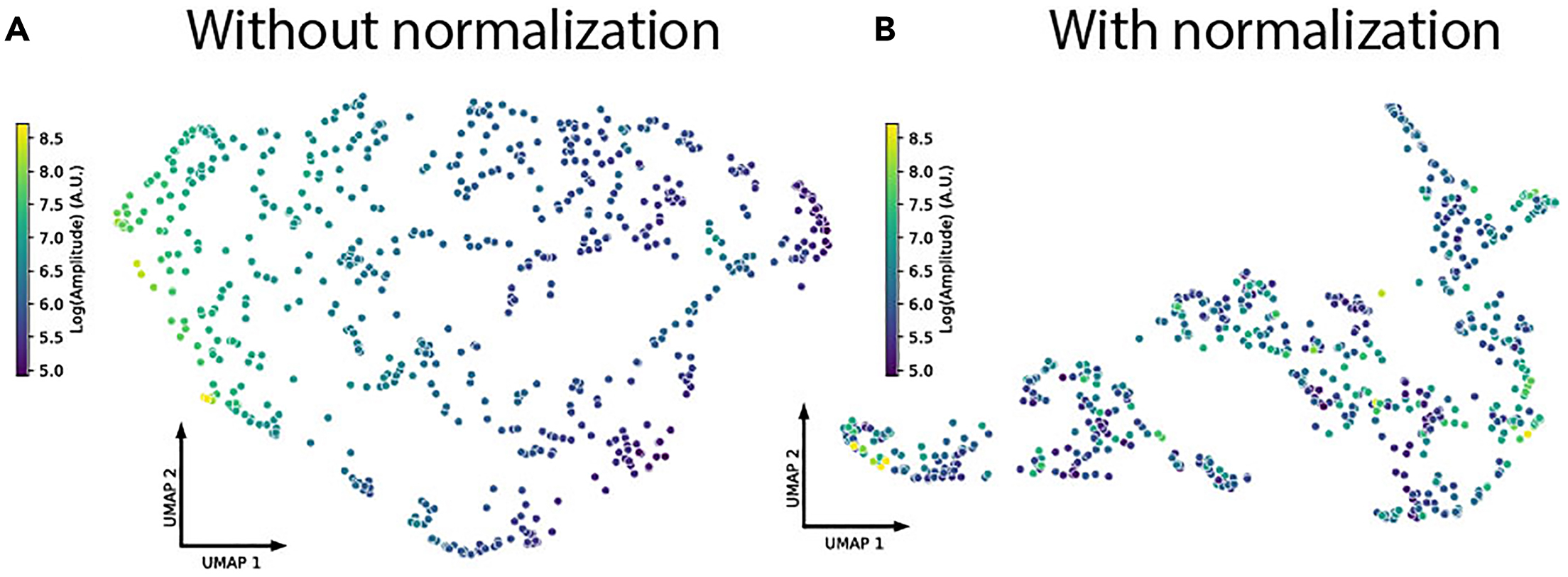 Cell Press: STAR Protocols