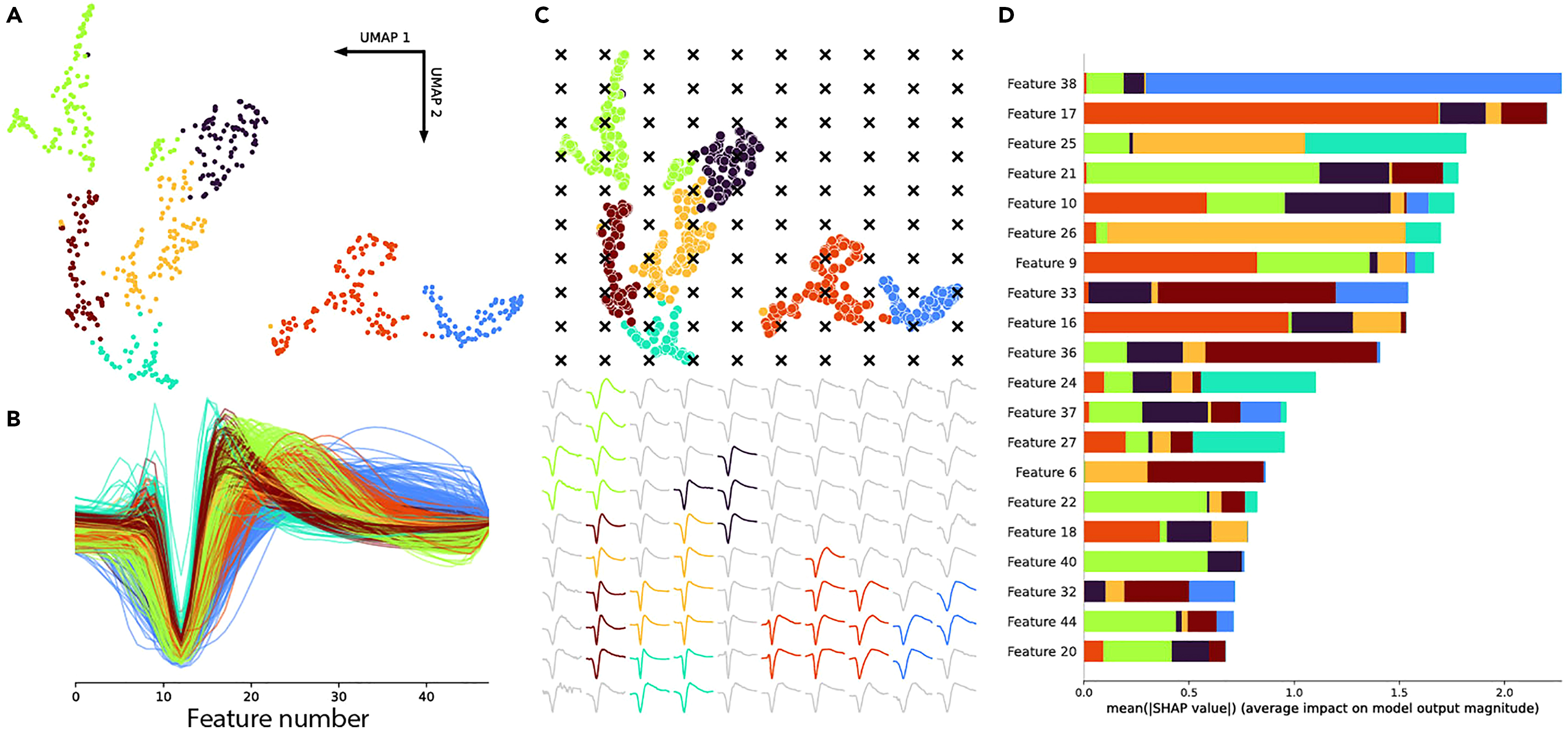 Cell Press: STAR Protocols