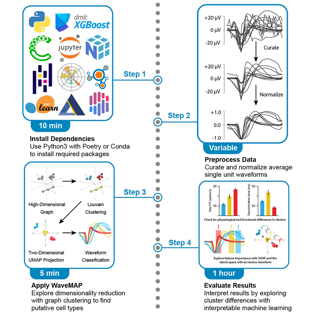 Cell Press: STAR Protocols