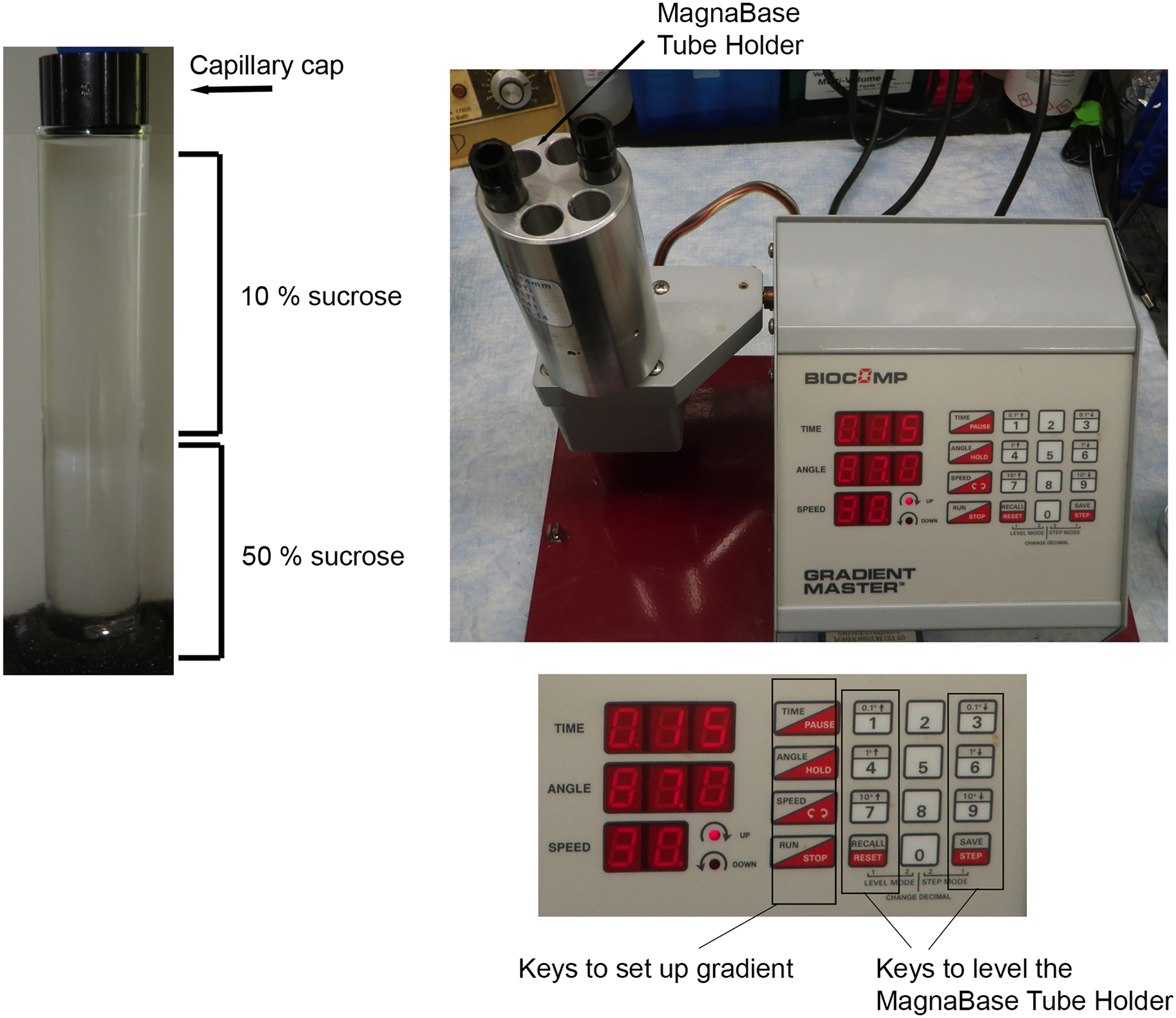 Cell Press: STAR Protocols
