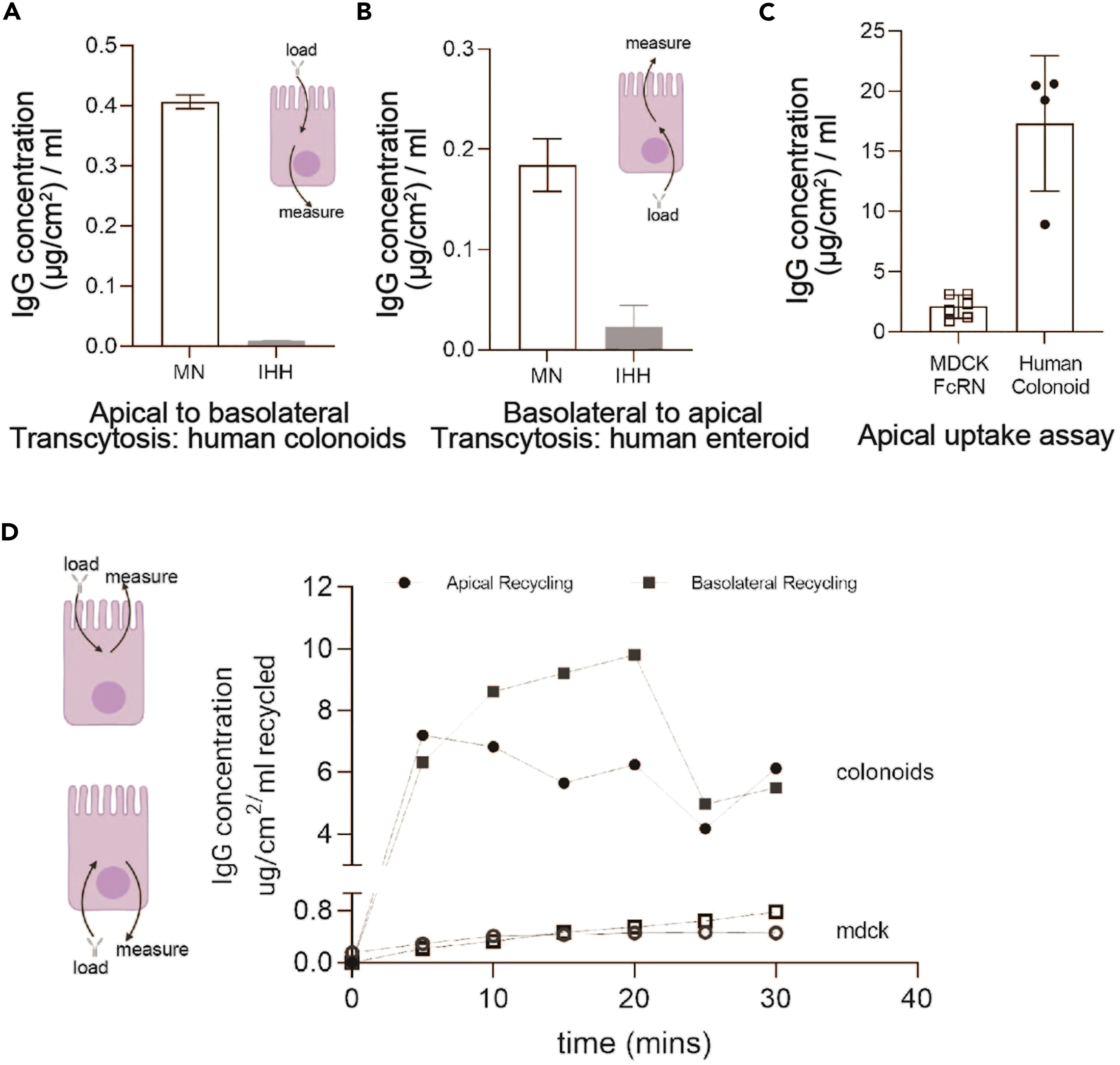Cell Press: STAR Protocols