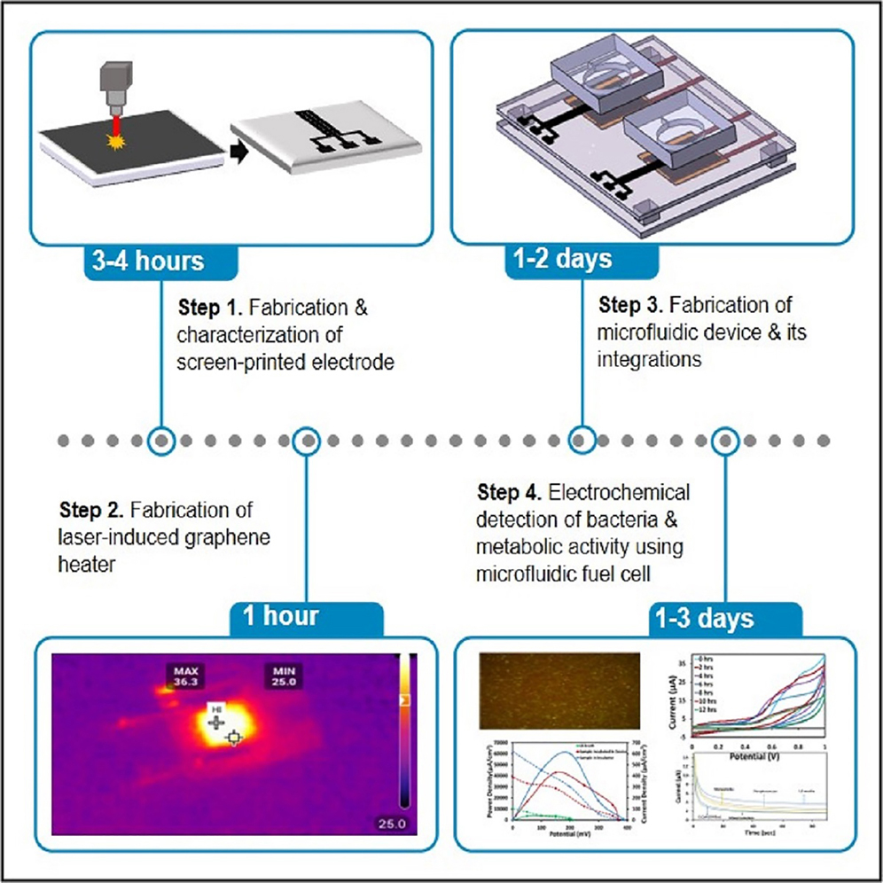 Cell Press: STAR Protocols