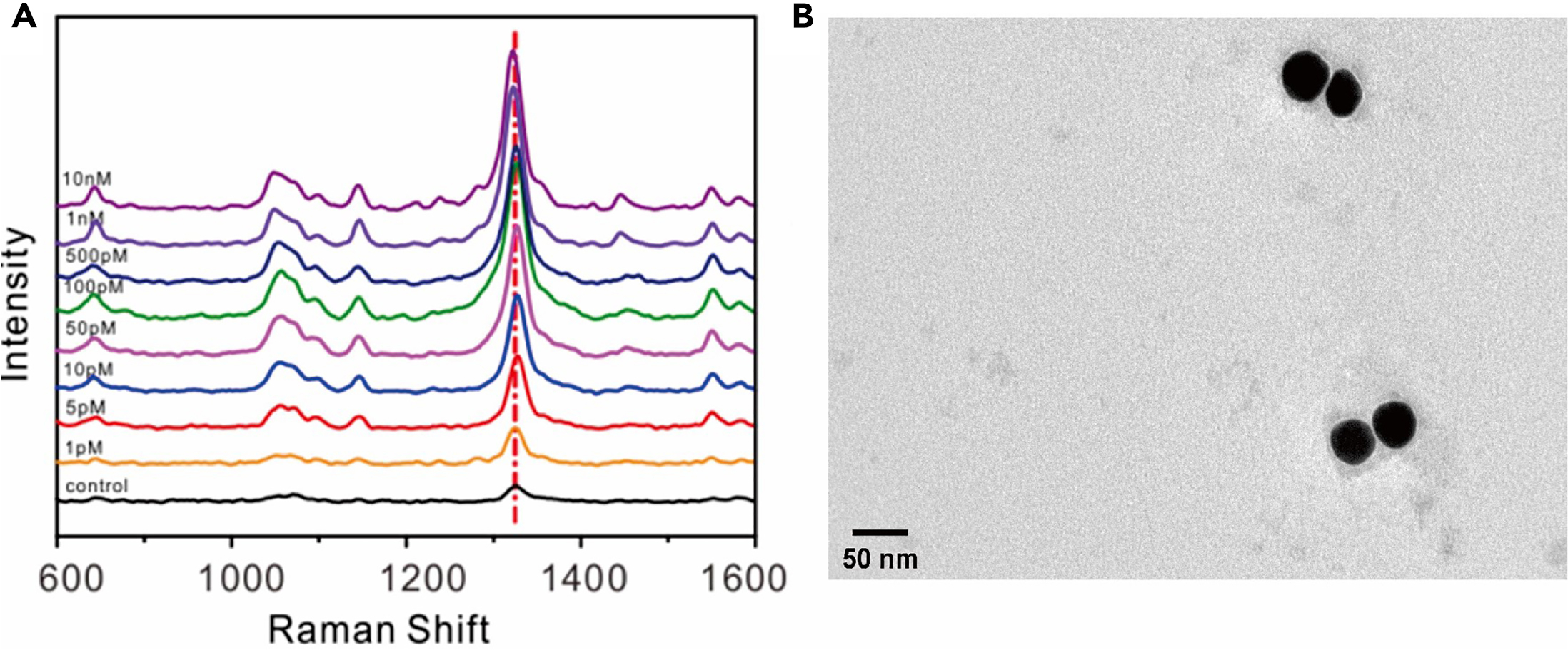 Cell Press: STAR Protocols