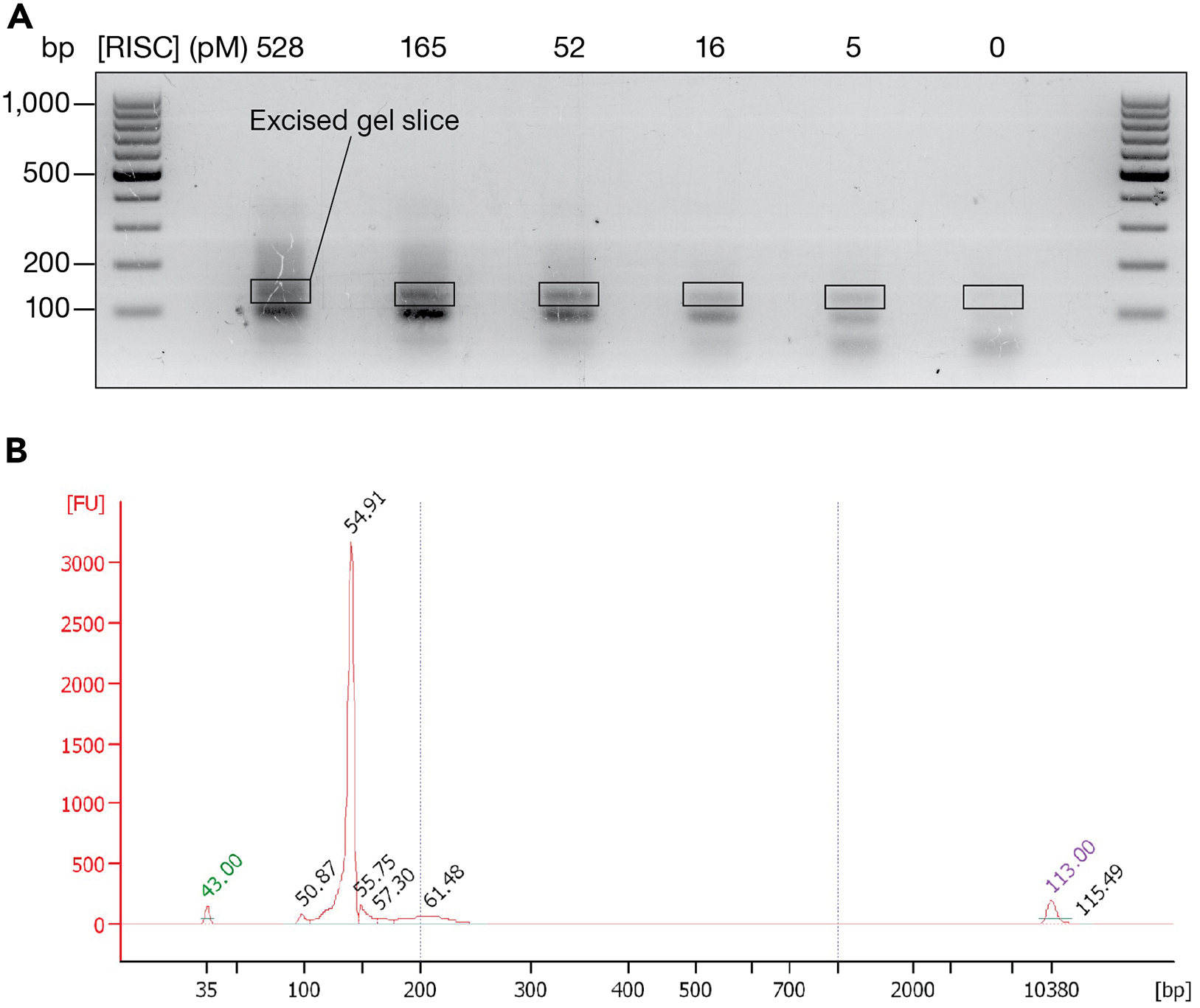Cell Press: STAR Protocols