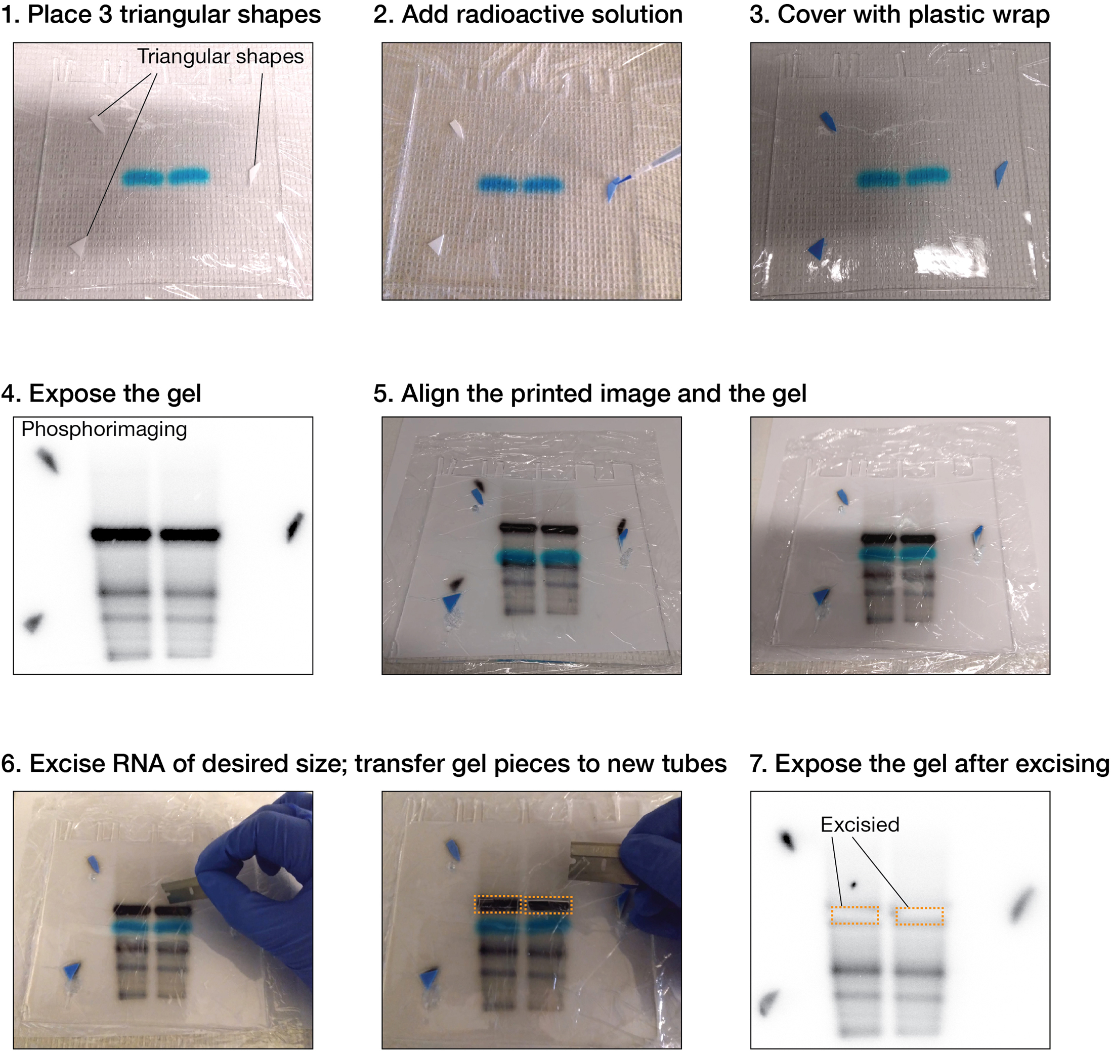 Cell Press: STAR Protocols