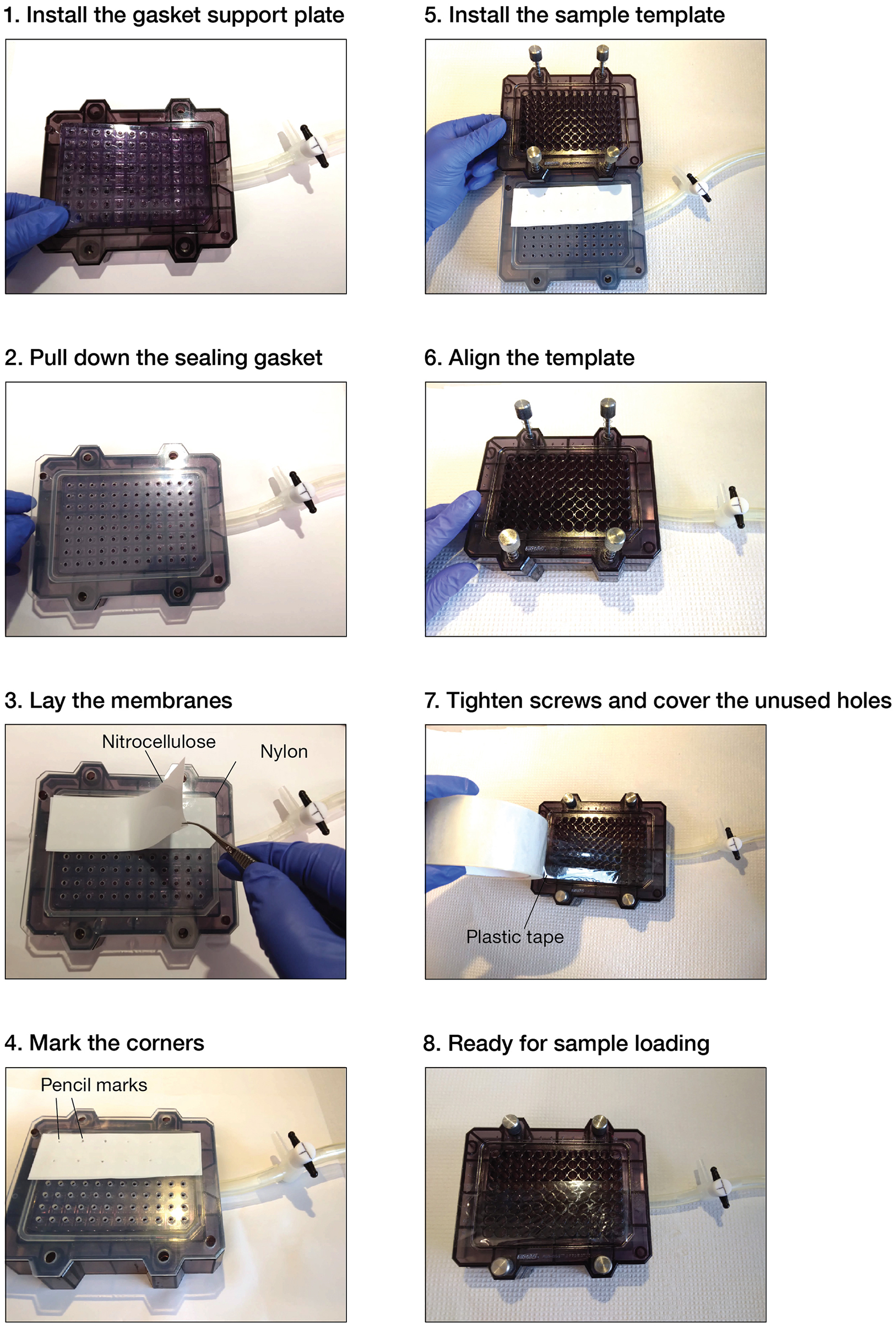 Cell Press: STAR Protocols