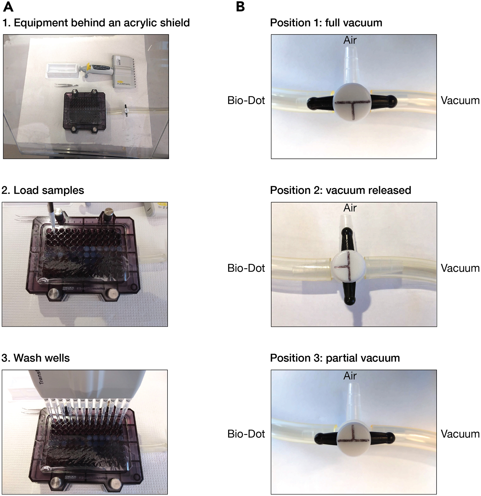 Cell Press: STAR Protocols