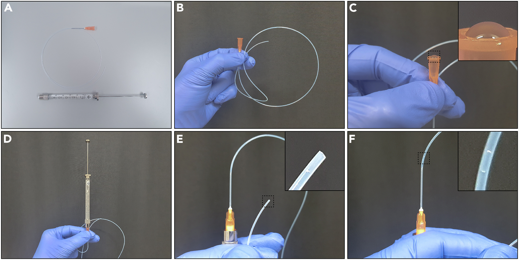 Cell Press: STAR Protocols