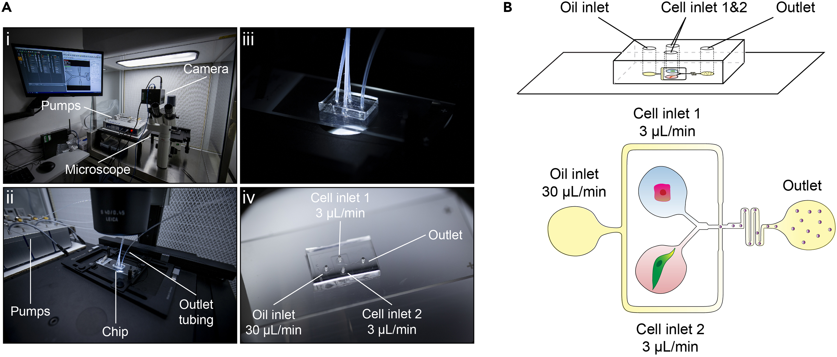 Cell Press: STAR Protocols