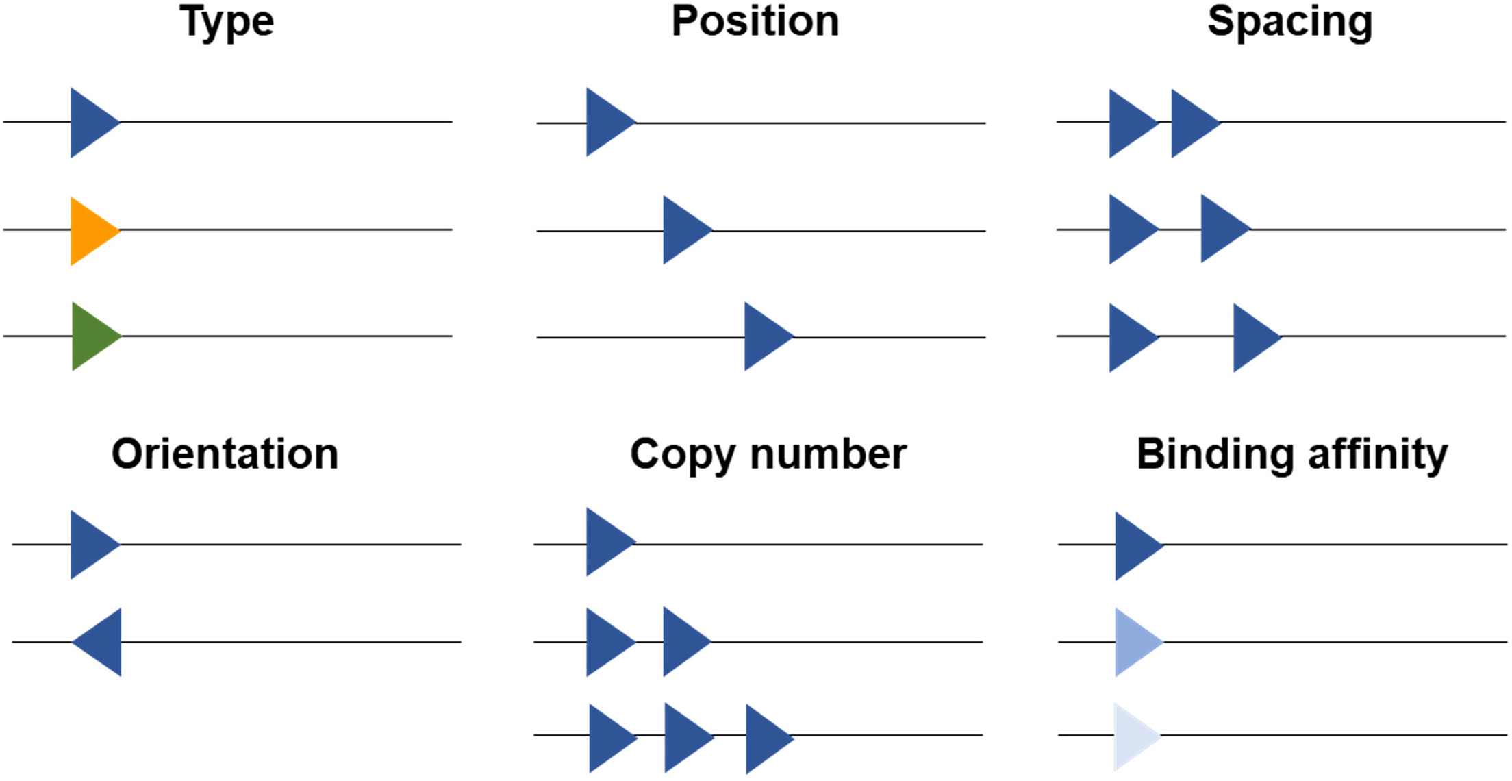 Cell Press: STAR Protocols
