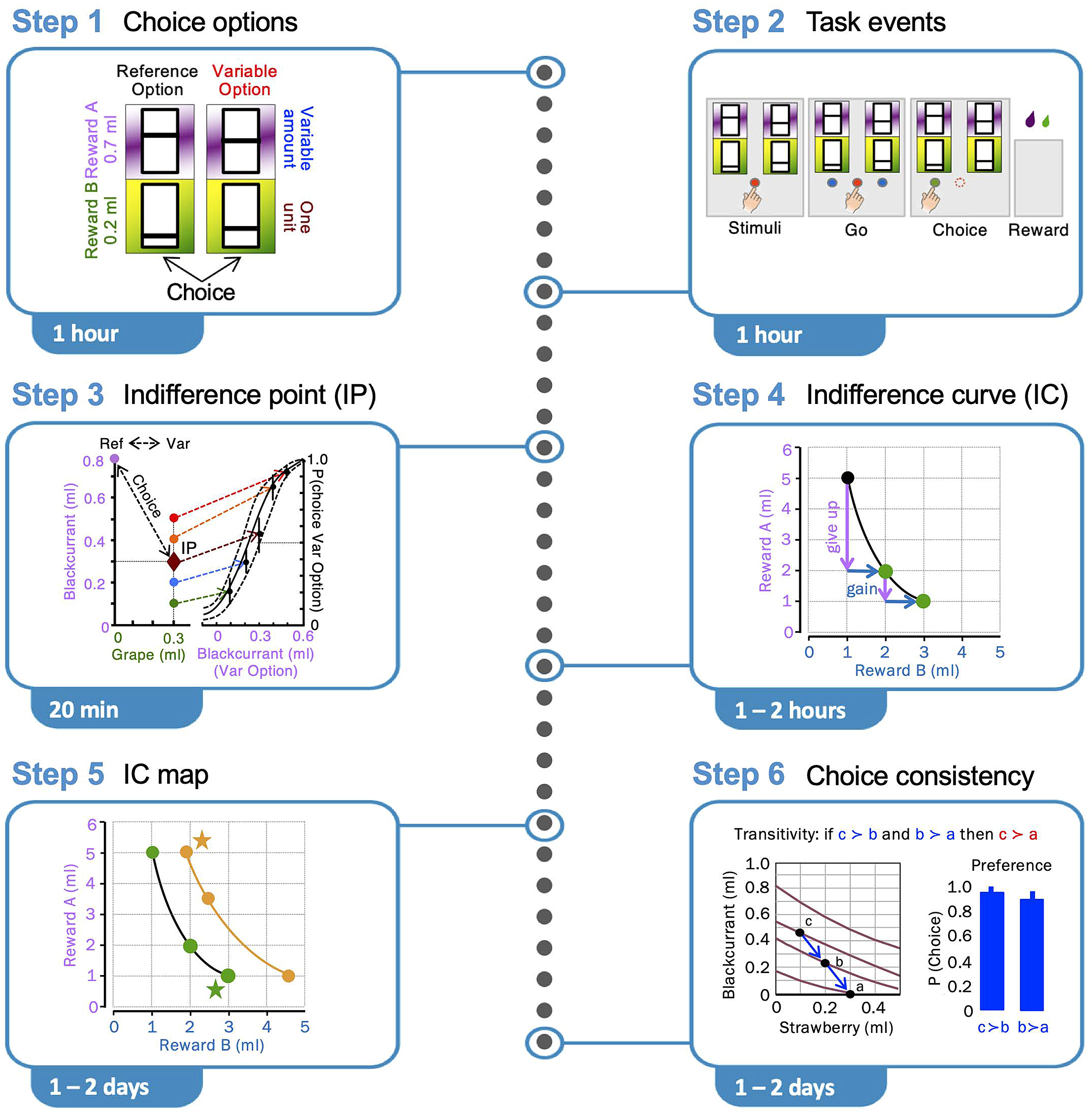 Cell Press: STAR Protocols