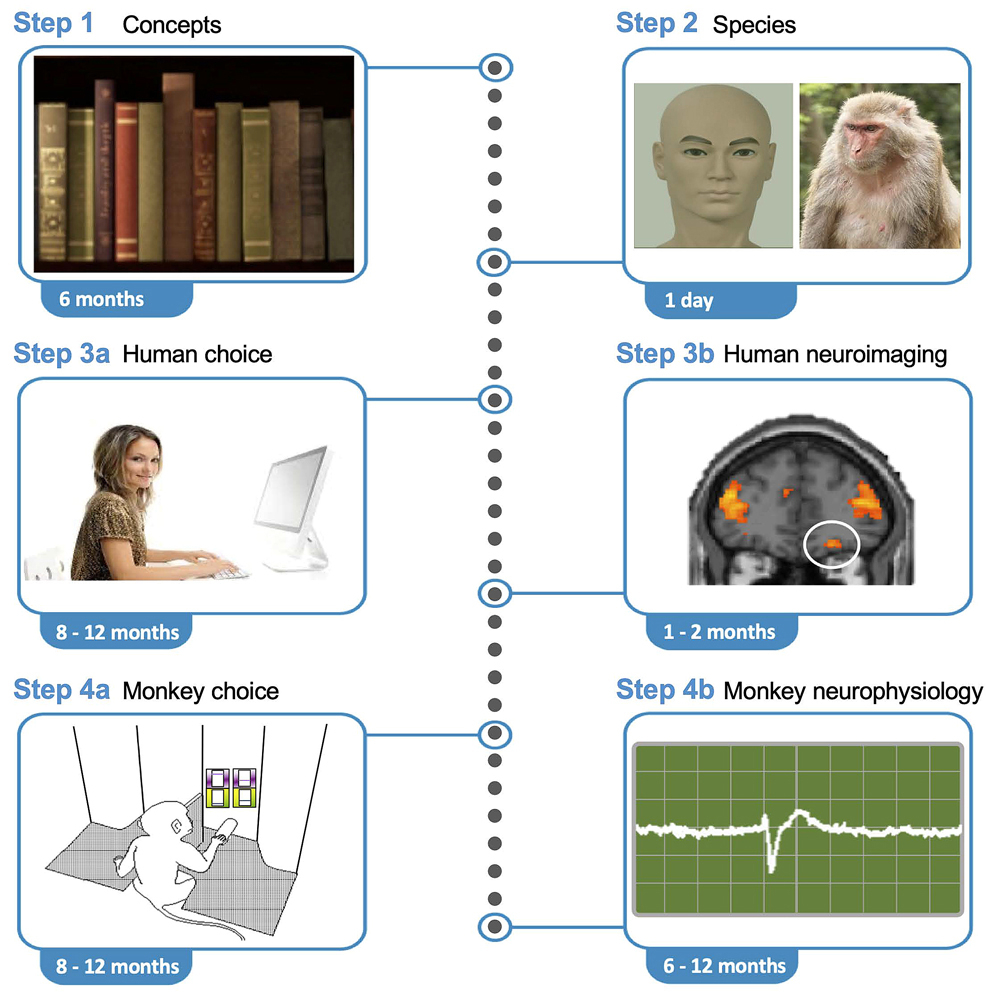 Cell Press: STAR Protocols