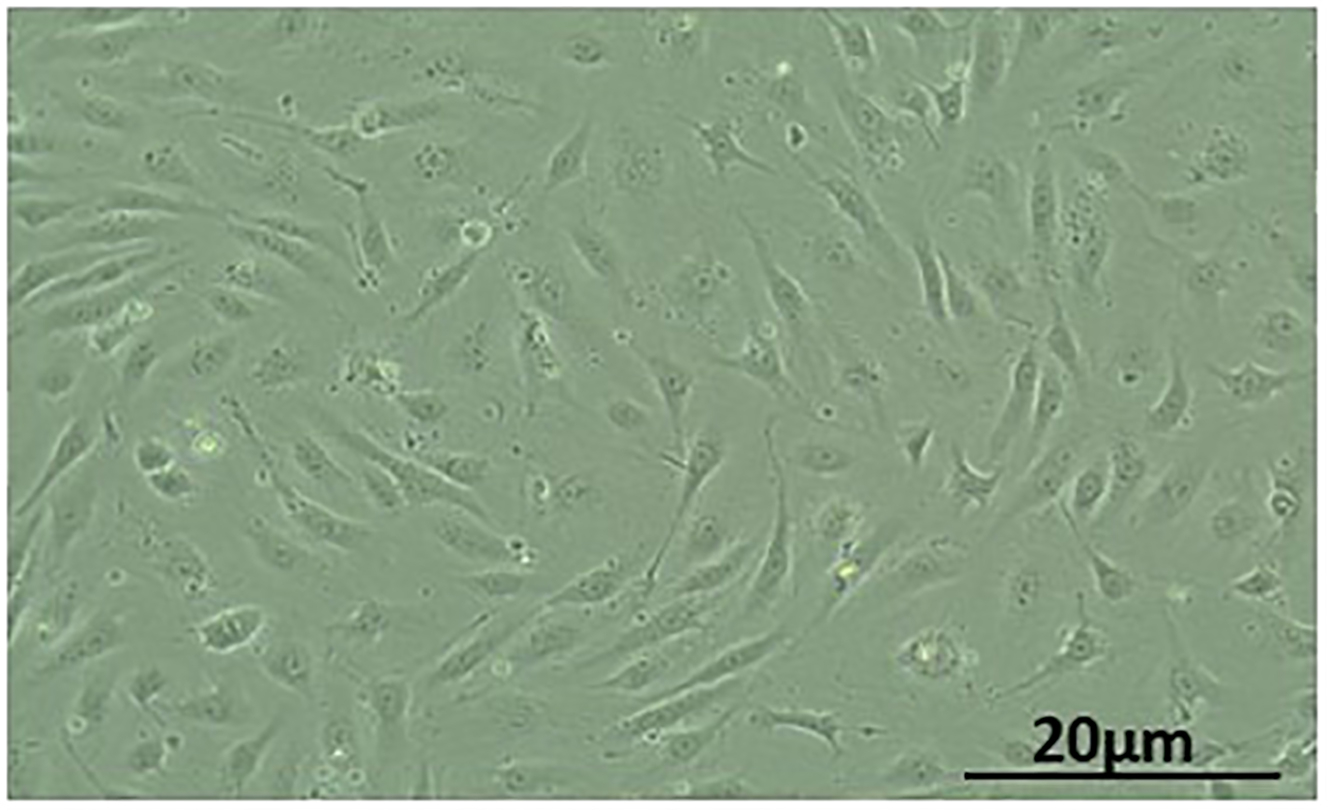 Cell Press: STAR Protocols