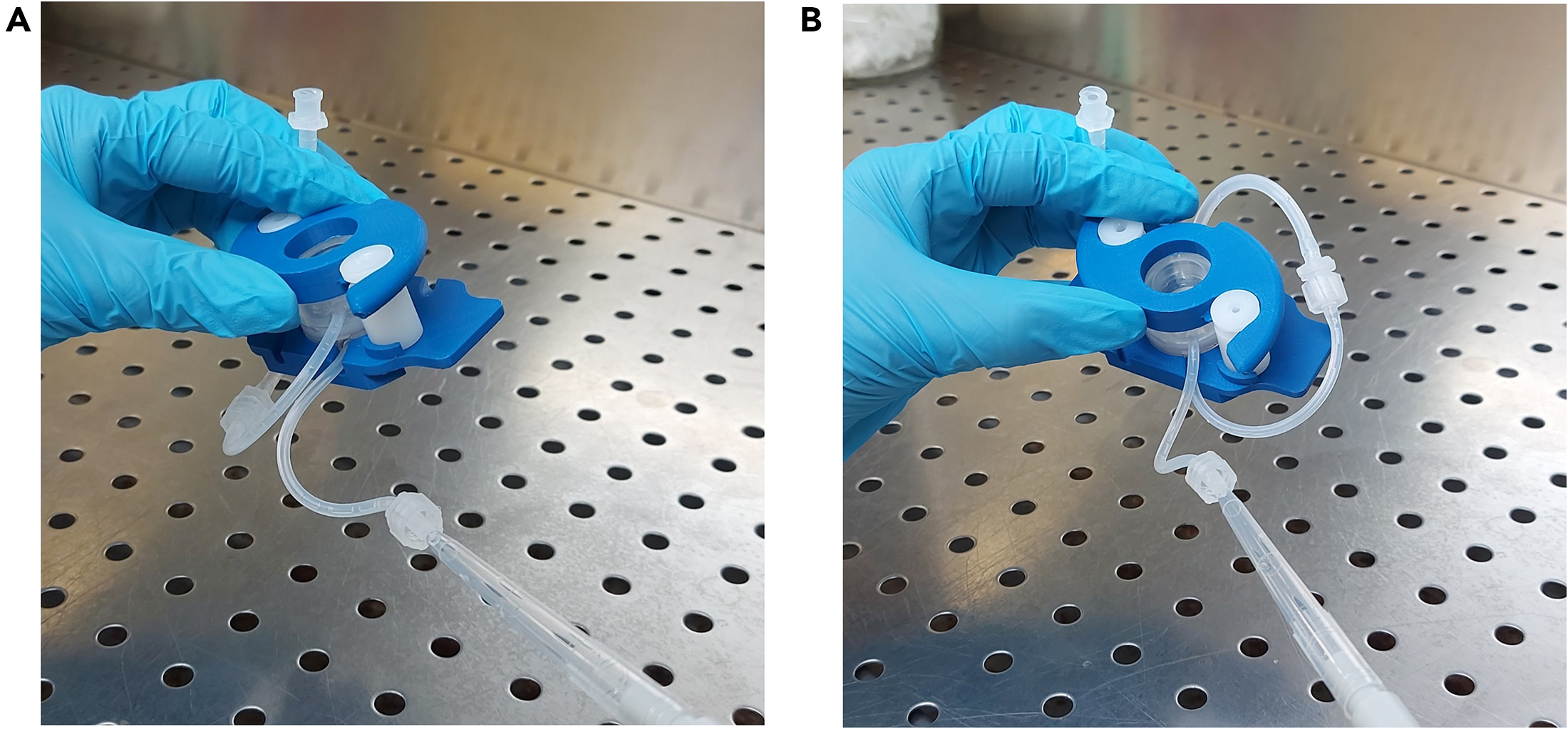 Cell Press: STAR Protocols