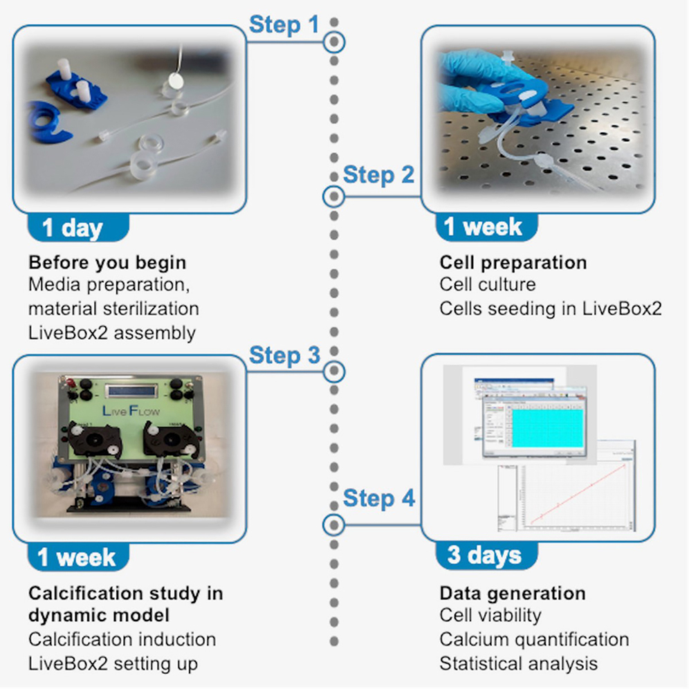 Cell Press: STAR Protocols