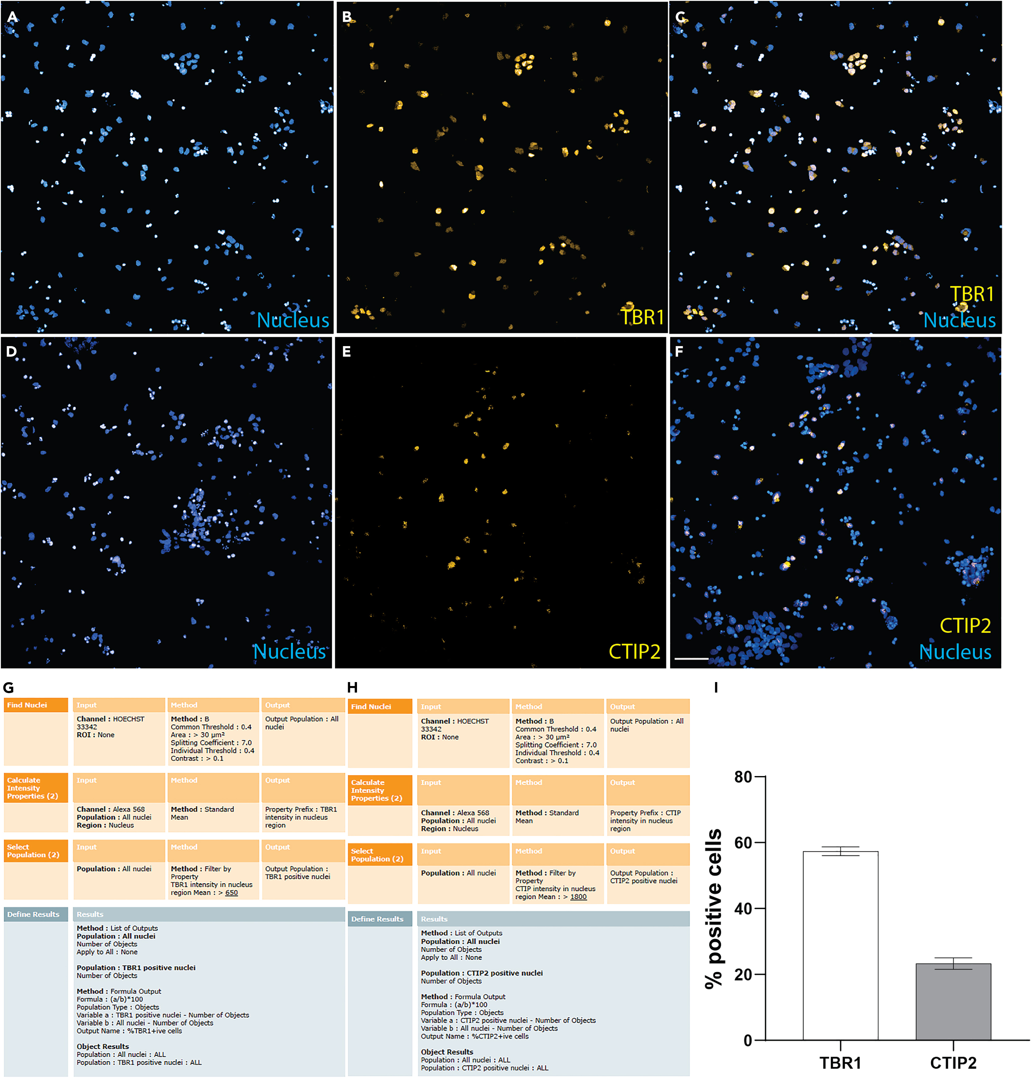 Cell Press: STAR Protocols