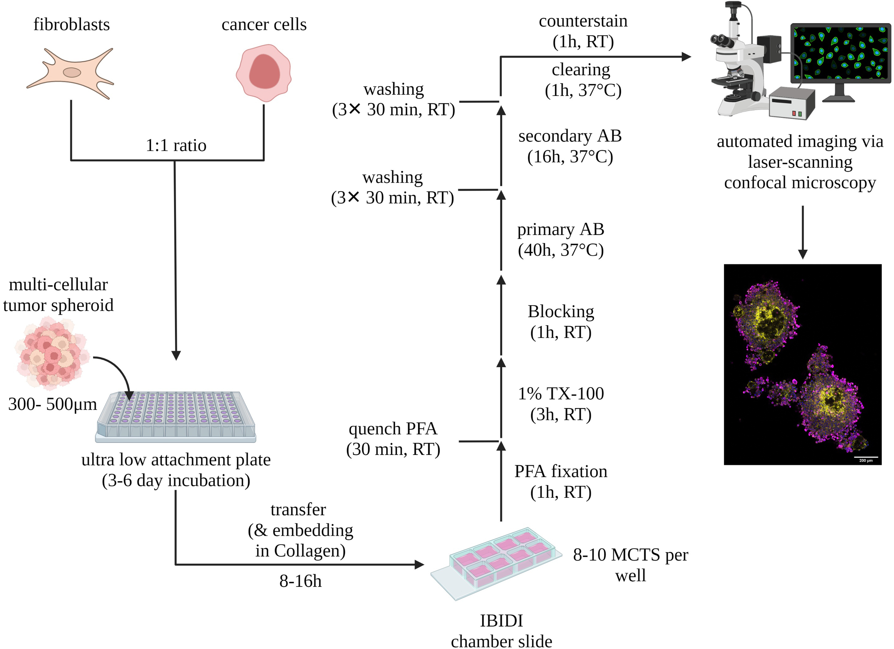 Cell Press: STAR Protocols