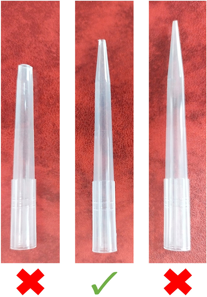 Cell Press: STAR Protocols