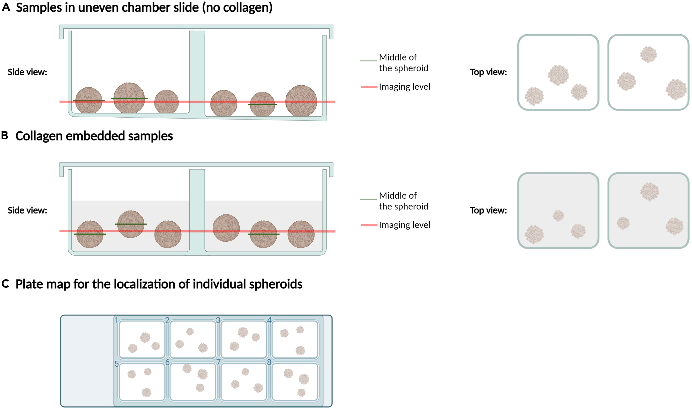 Cell Press: STAR Protocols