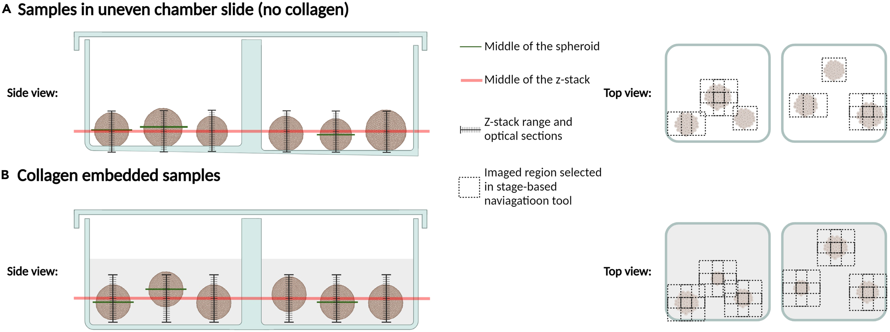 Cell Press: STAR Protocols