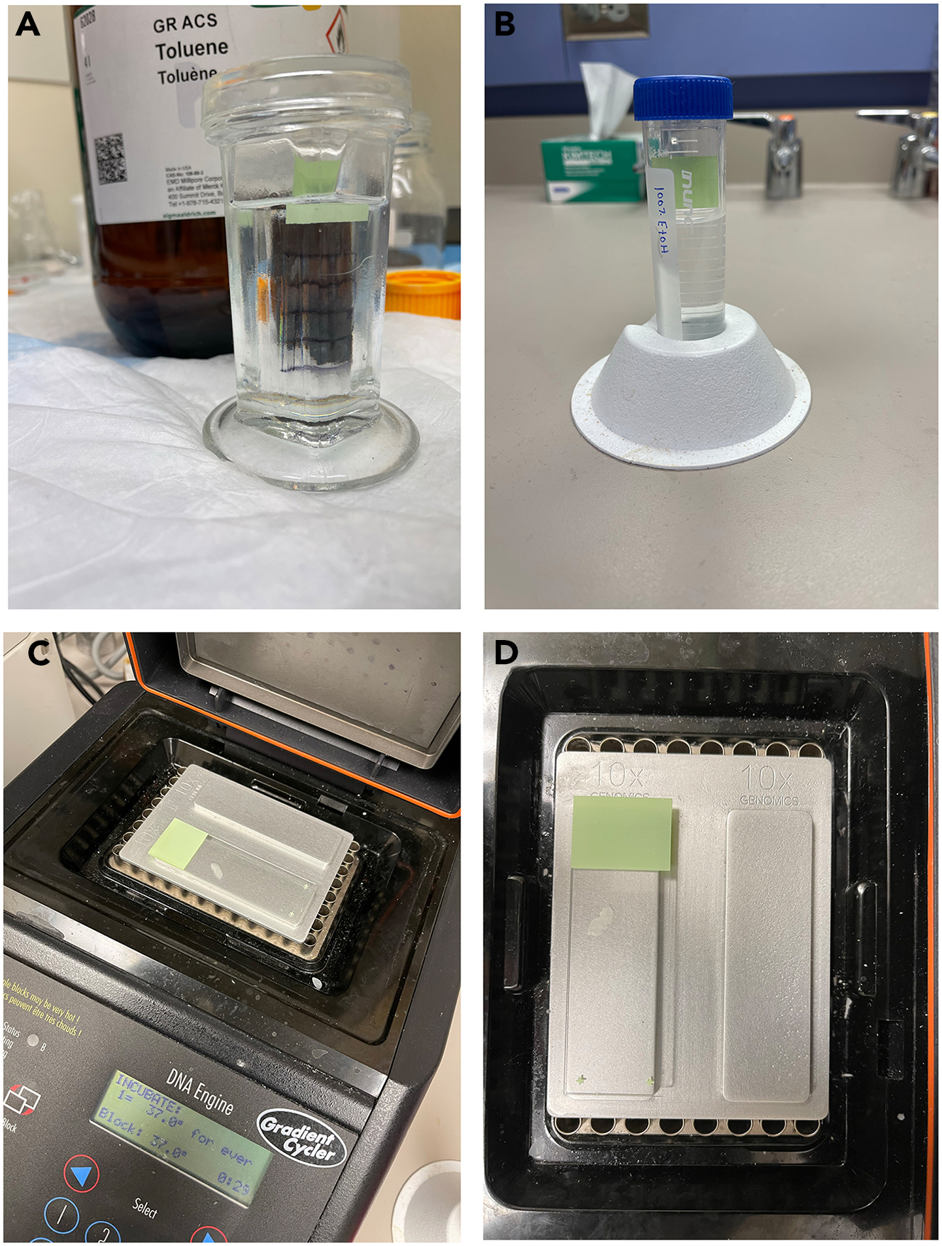 Cell Press: STAR Protocols