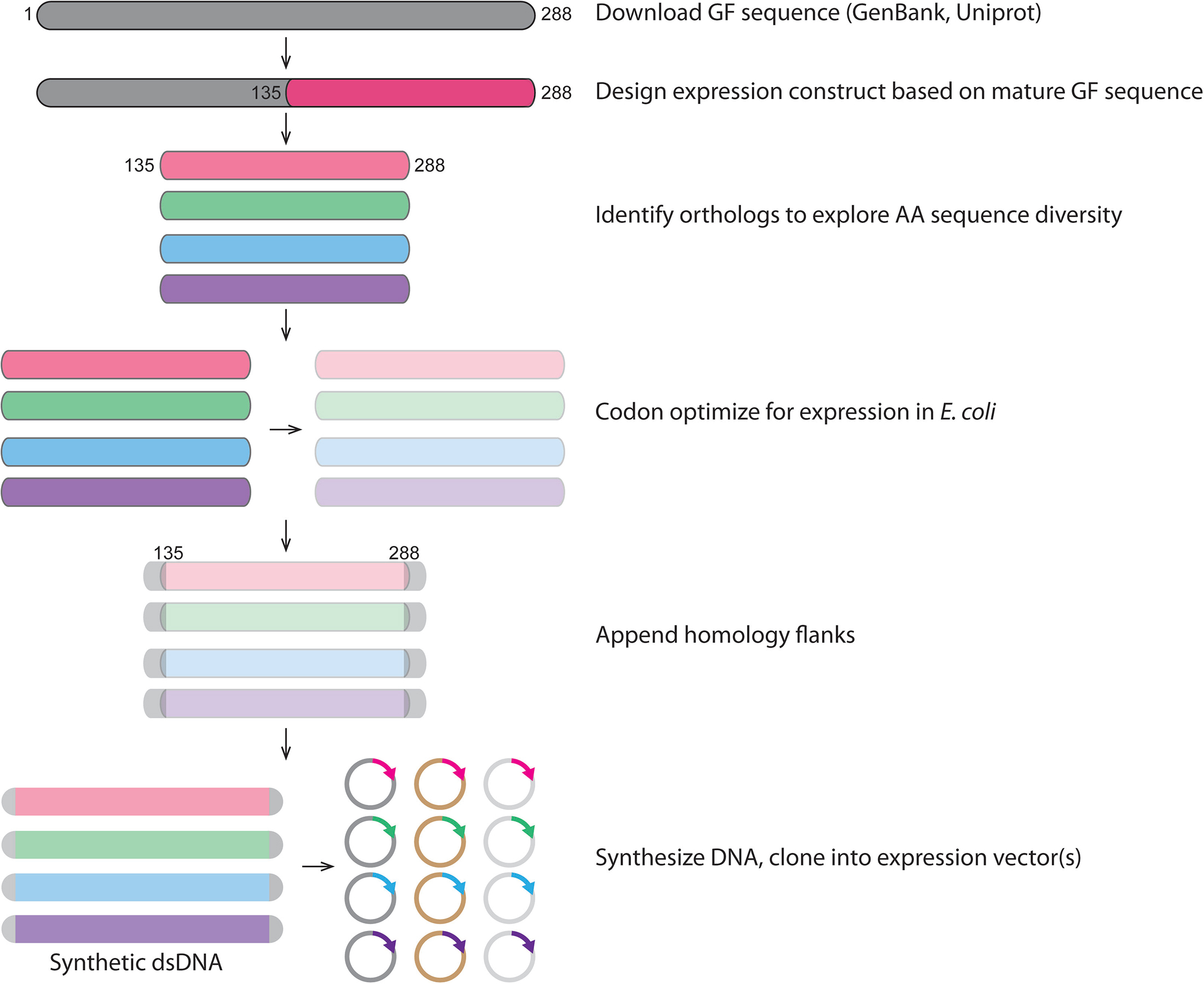 Cell Press: STAR Protocols