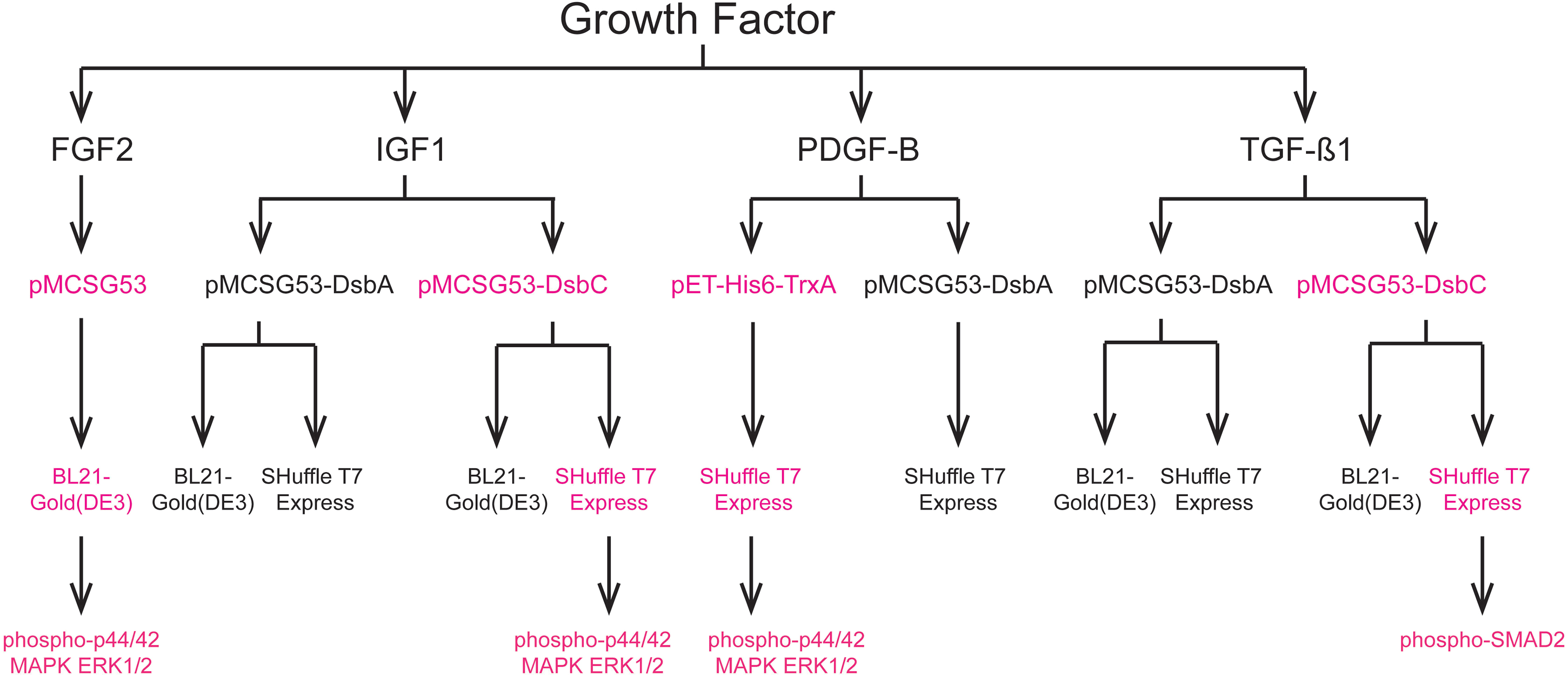 Cell Press: STAR Protocols