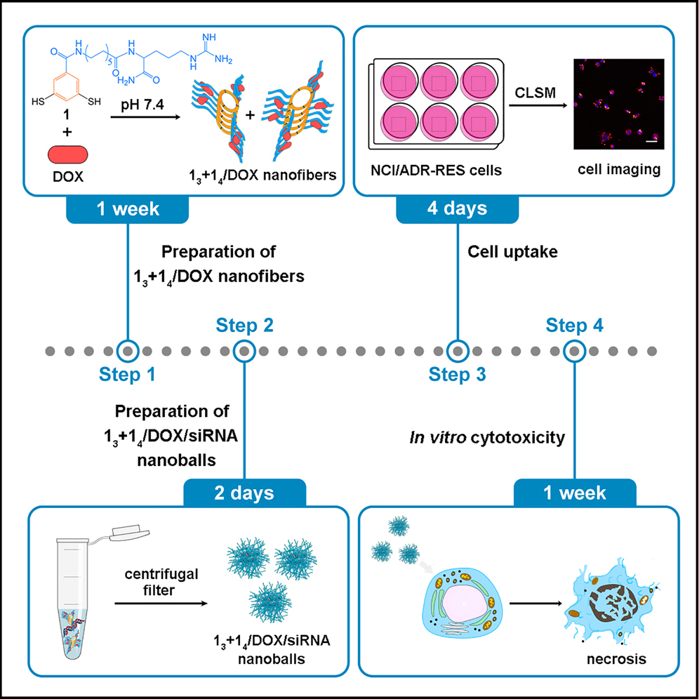 Cell Press: STAR Protocols