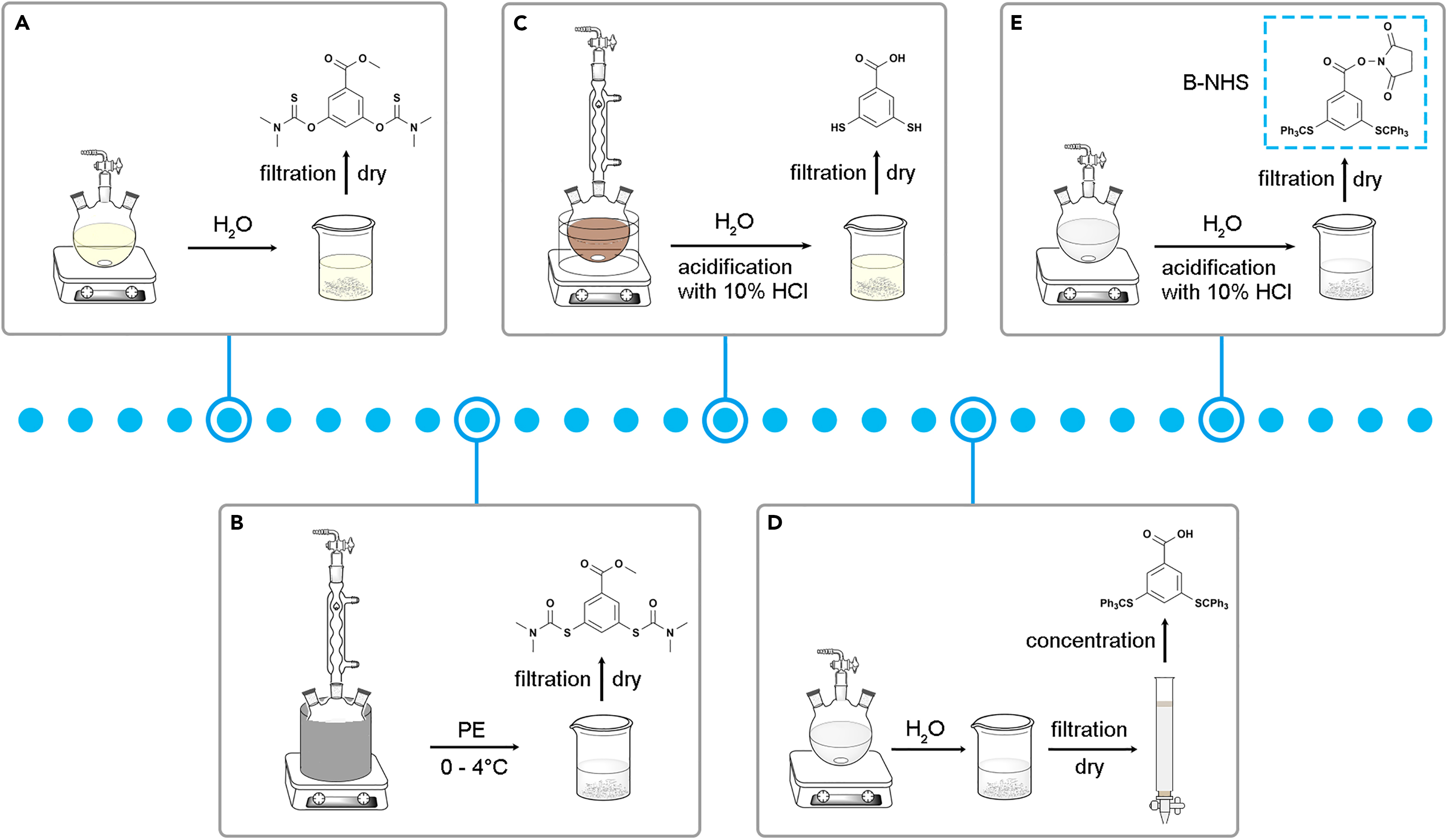 Cell Press: STAR Protocols
