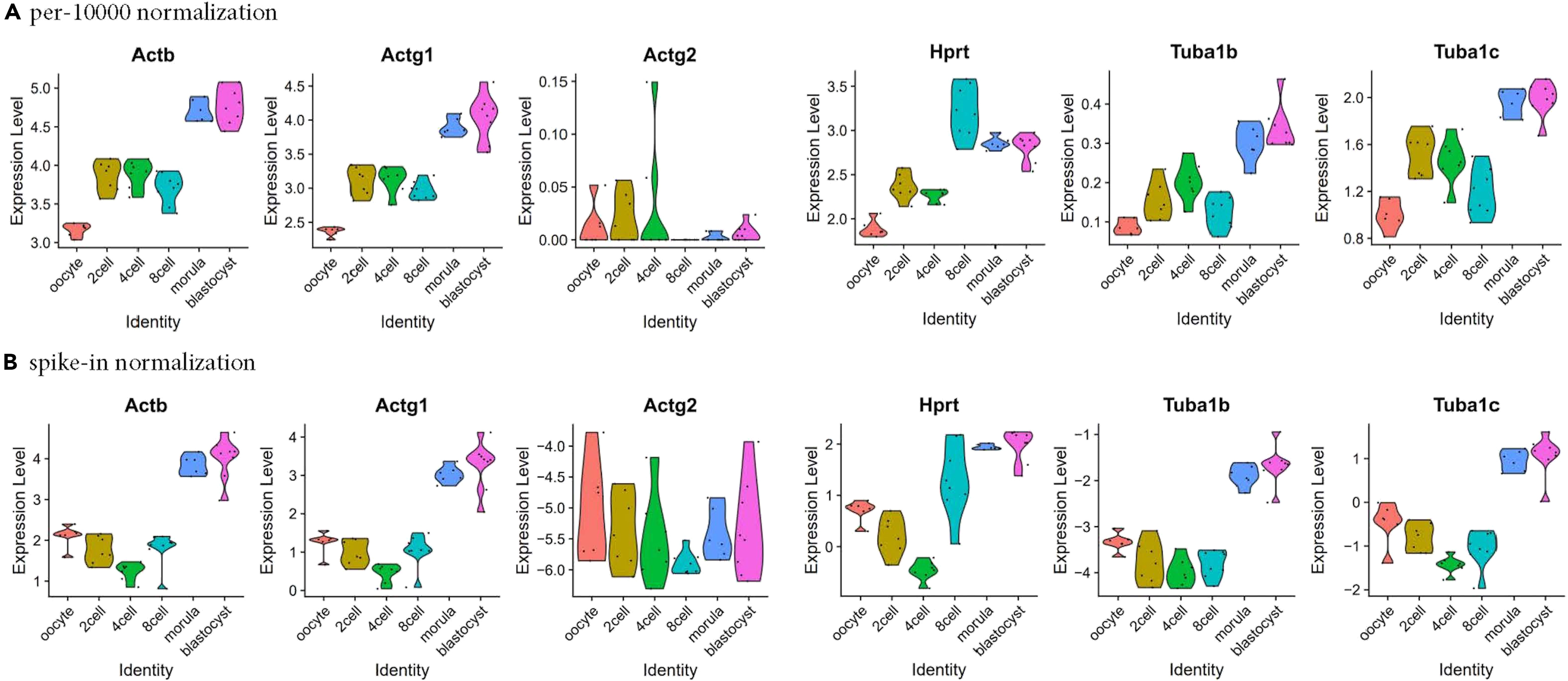 Cell Press: STAR Protocols