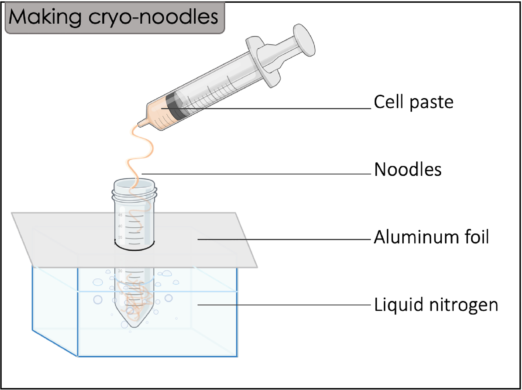 Cell Press: STAR Protocols