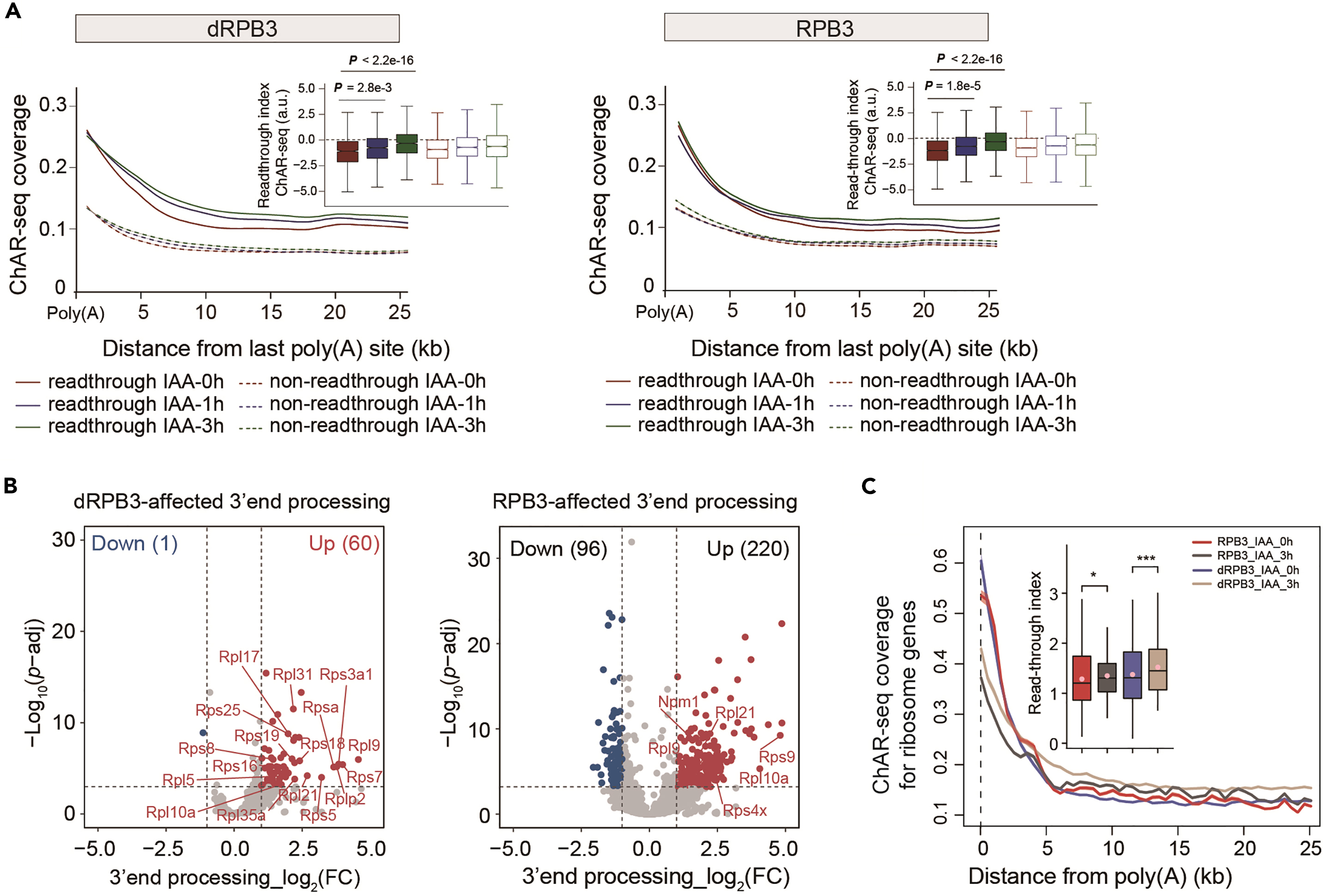 Cell Press: STAR Protocols