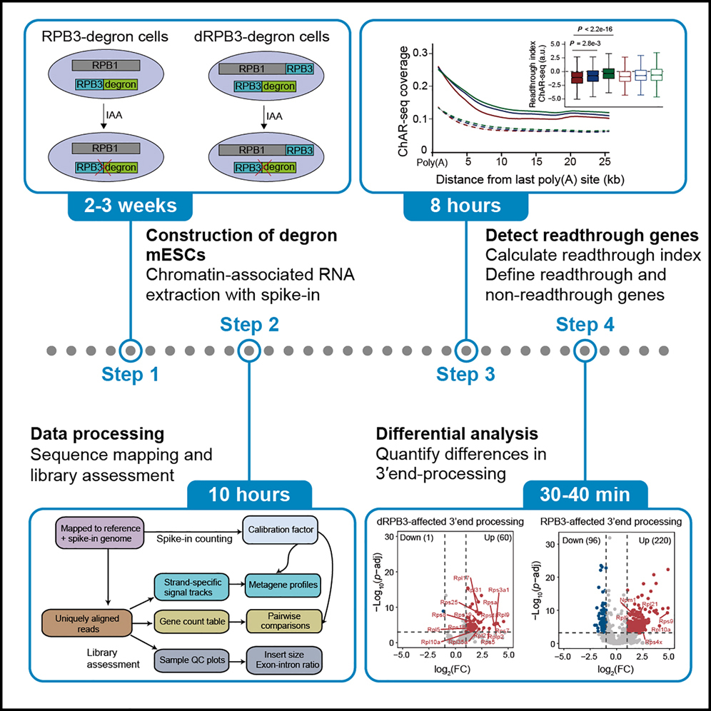 Cell Press: STAR Protocols