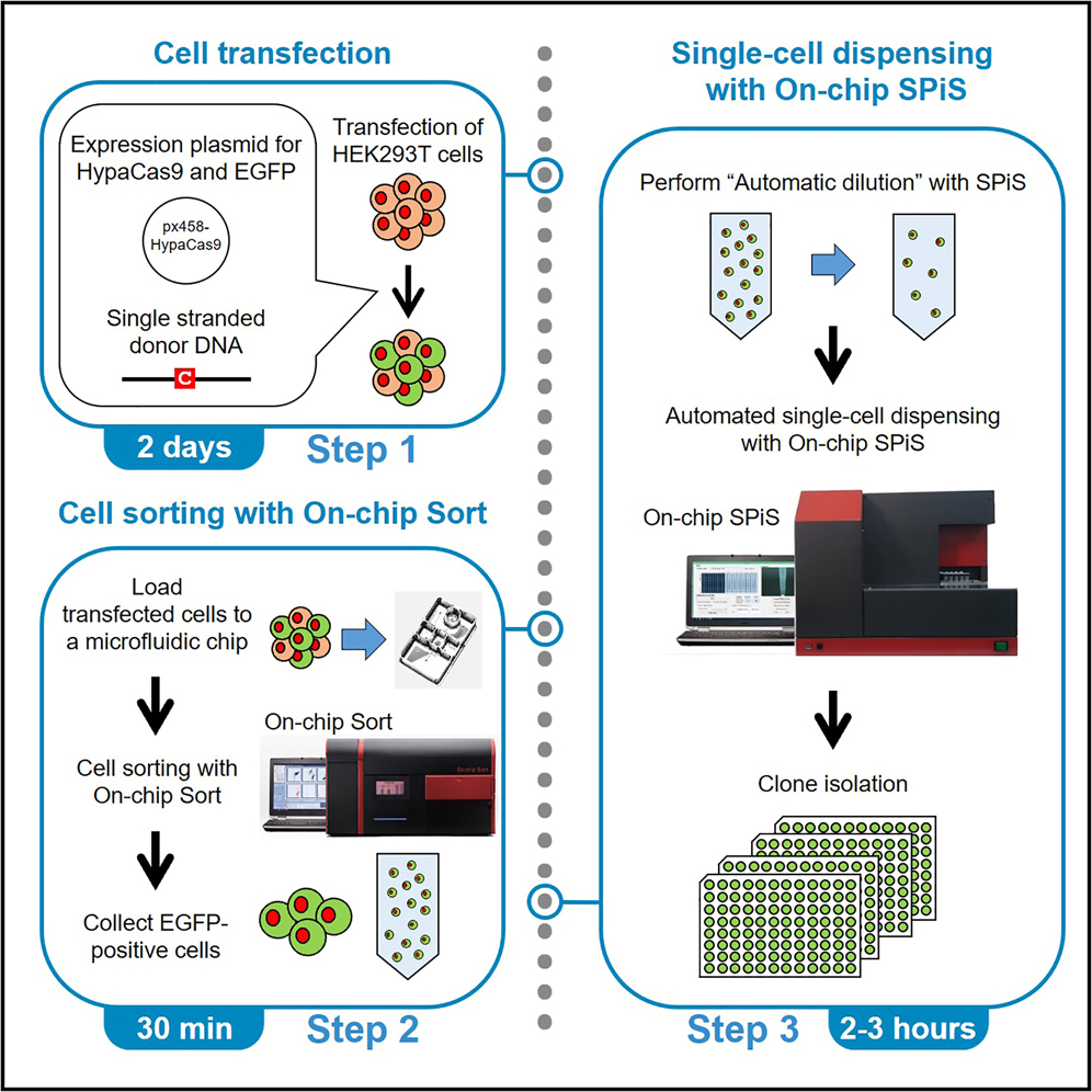 Cell Press: STAR Protocols