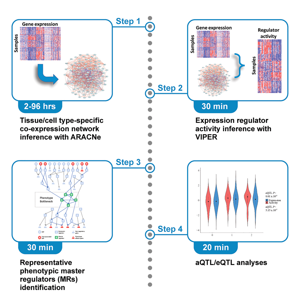 Cell Press: STAR Protocols